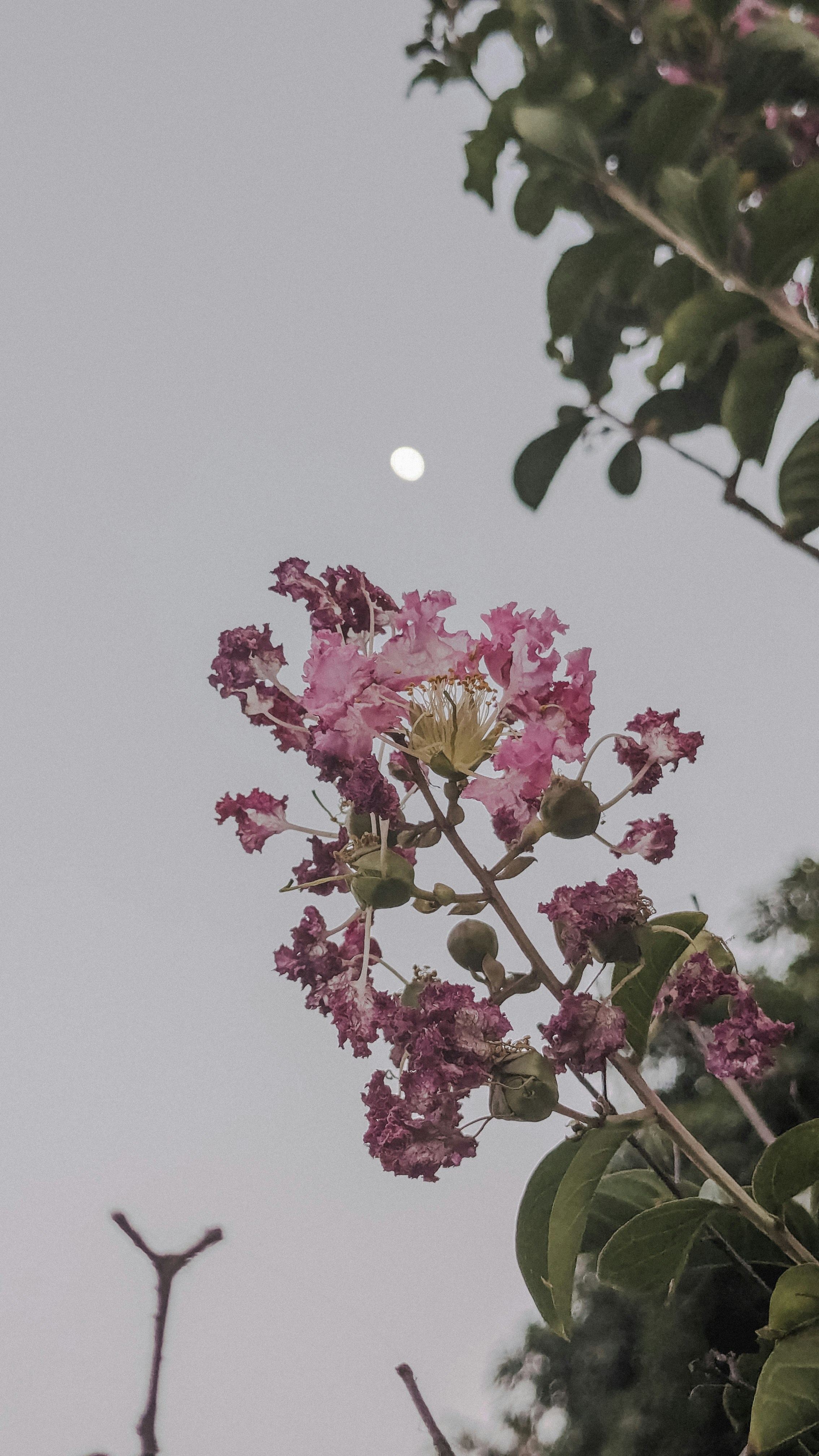 Photo by Anees Ur Rehman with Google Pixel 6a