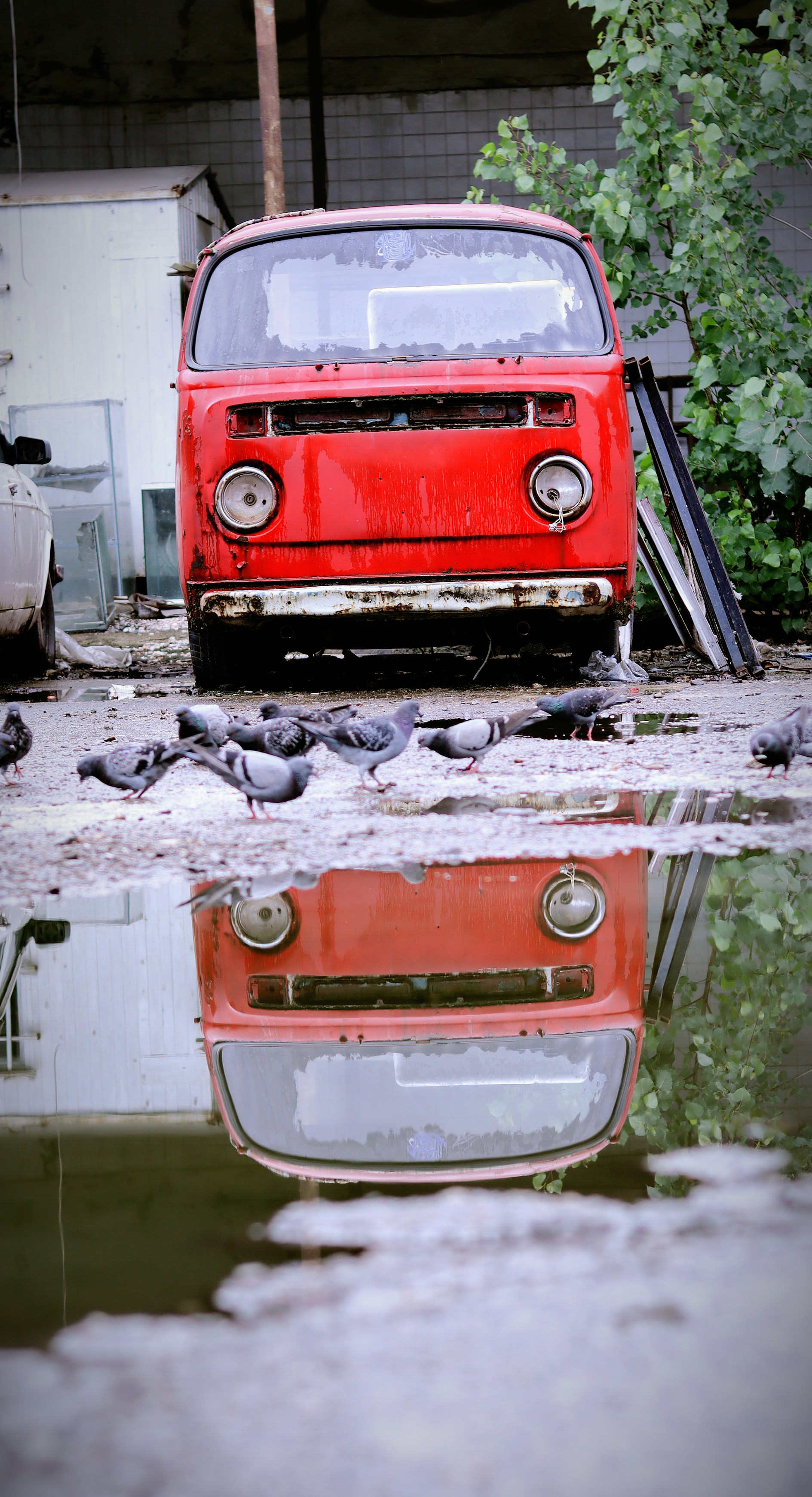A red van sitting in a puddle of water photo – Free Car Image on Unsplash