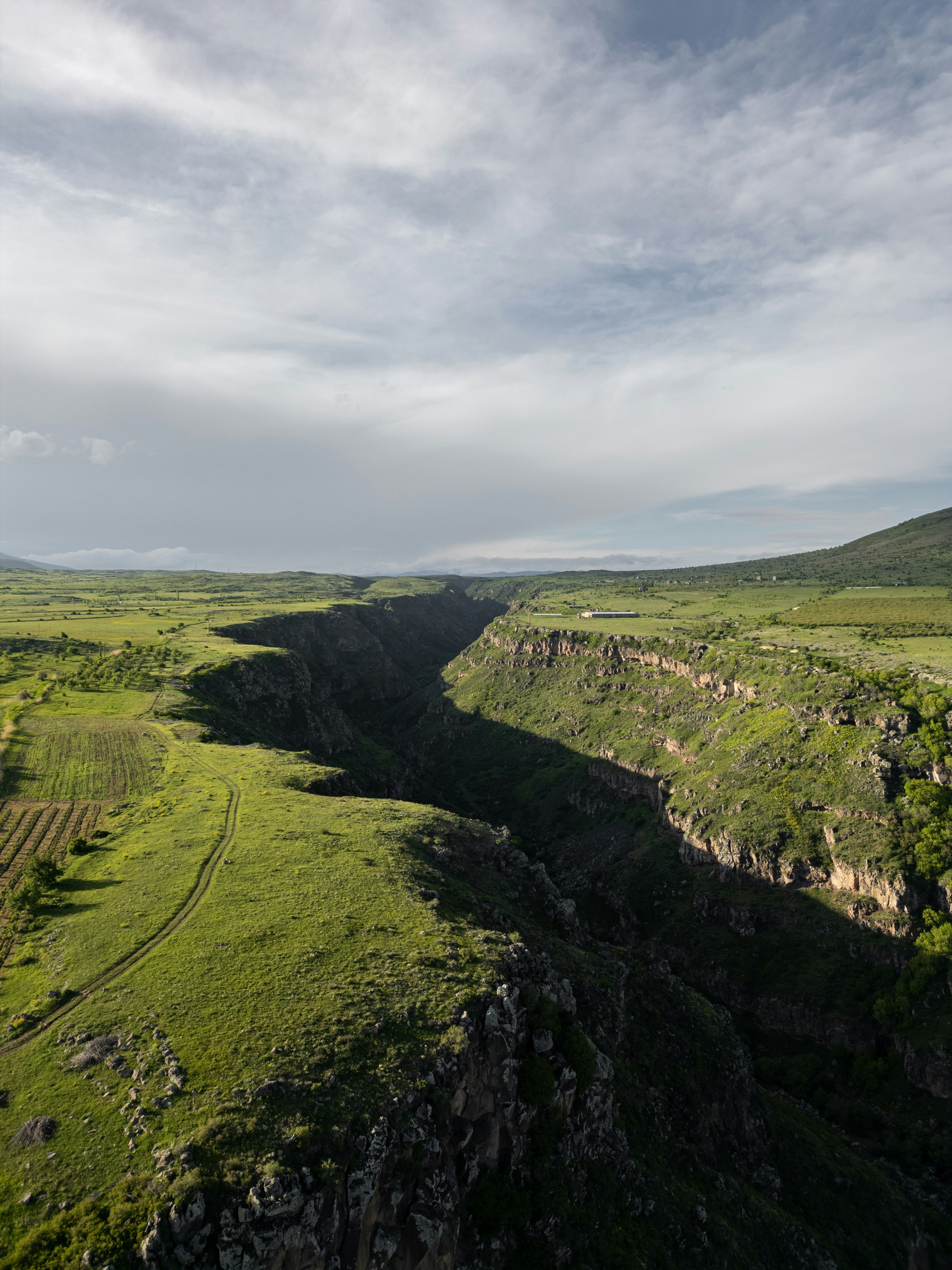 Verdant Rift: A Sunlit Gorge Carving Through Rolling Plains