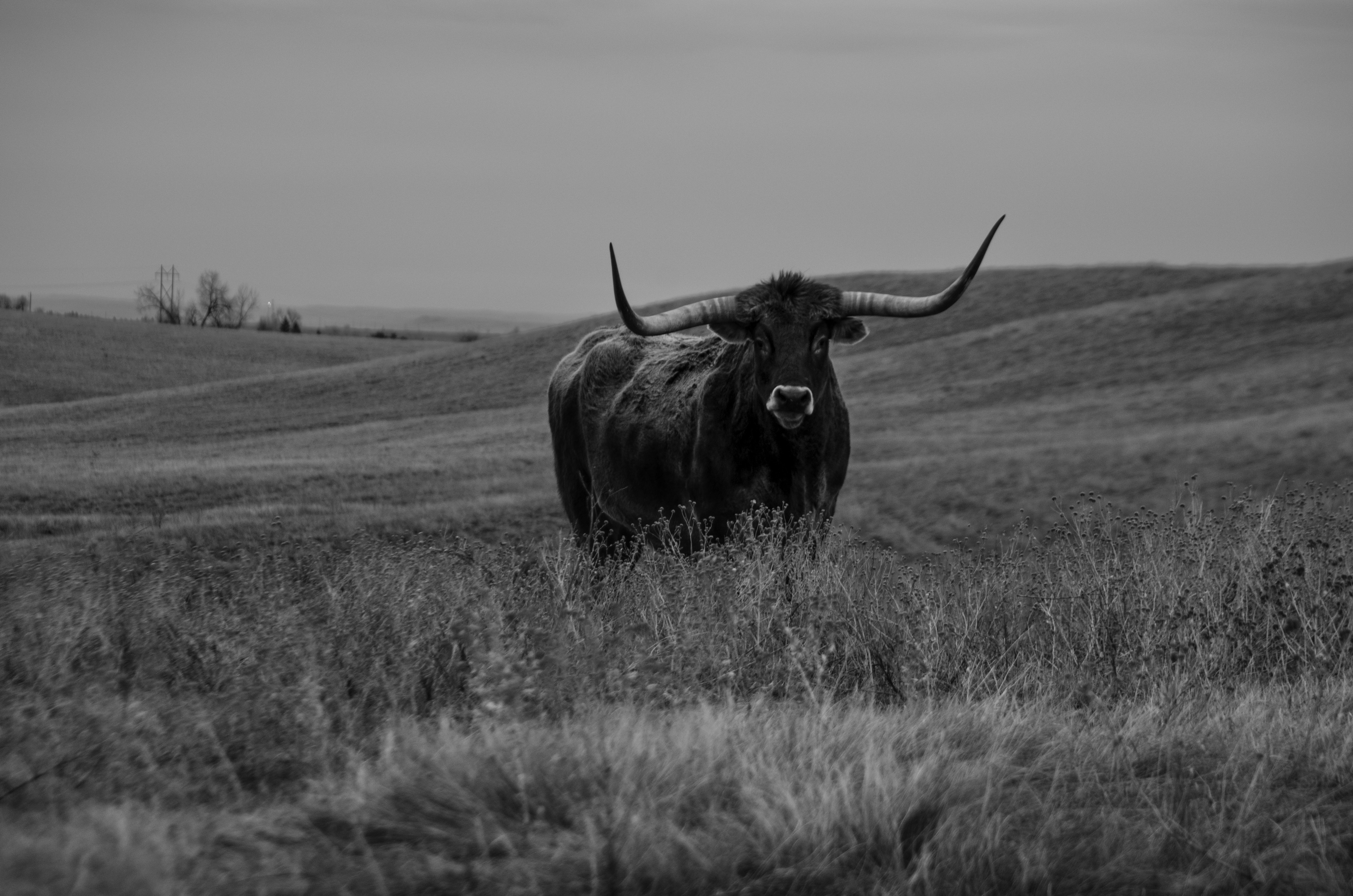 Photo by Vivian Marta with Nikon D5100