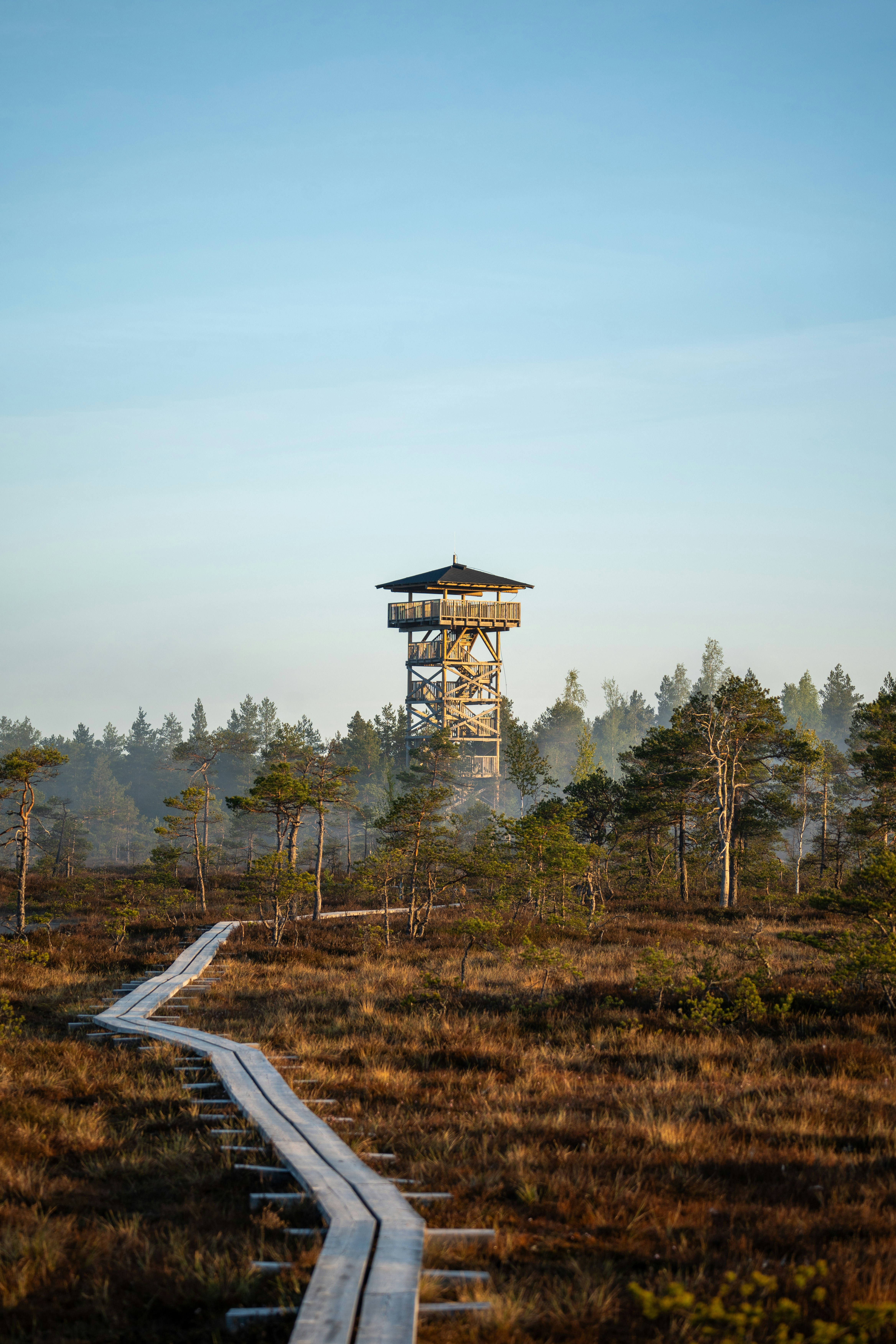 Photo by Janek Valdsalu with Sony Alpha 7 IV