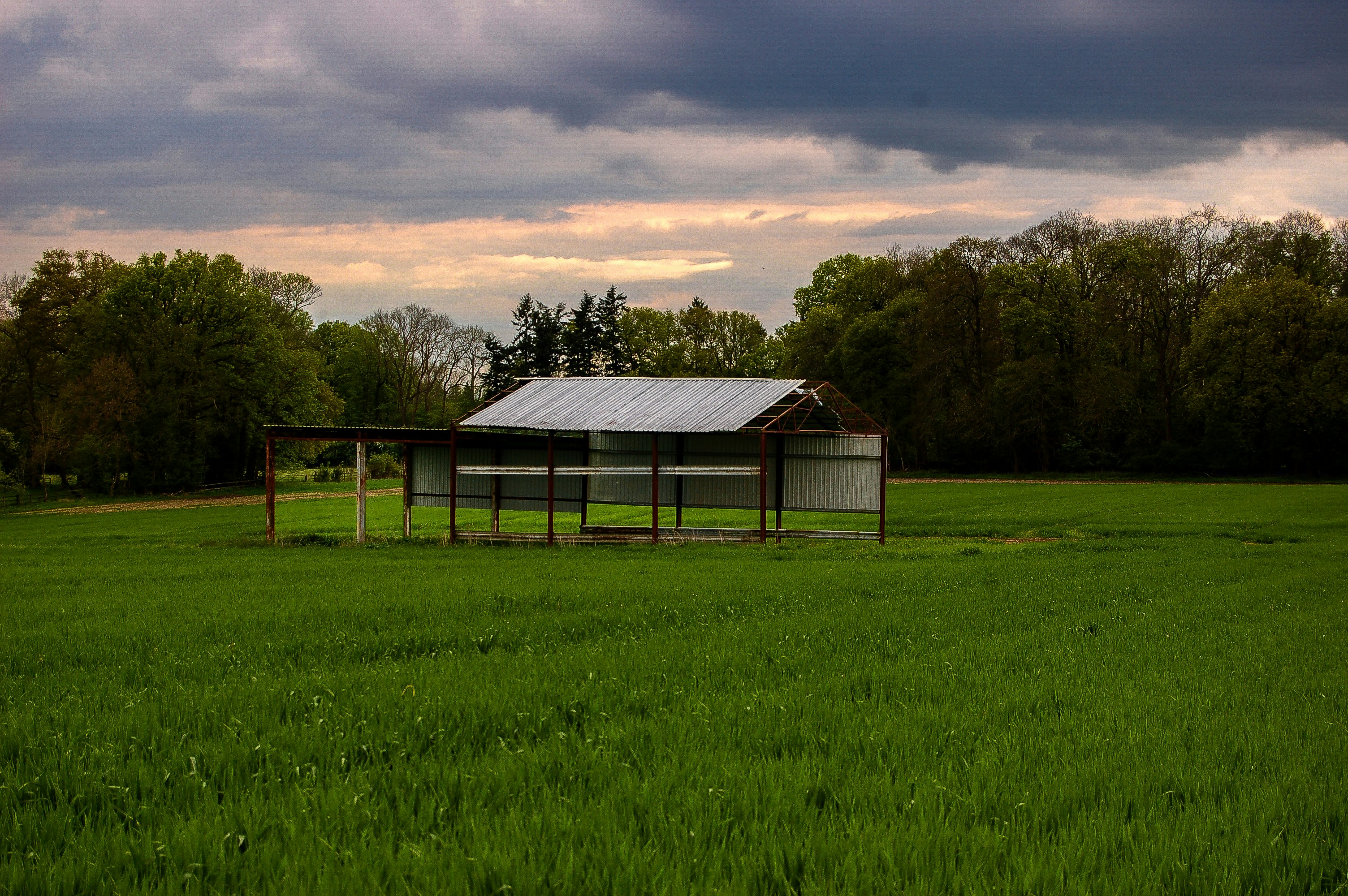 30,000+ Farmland Pictures | Download Free Images on Unsplash