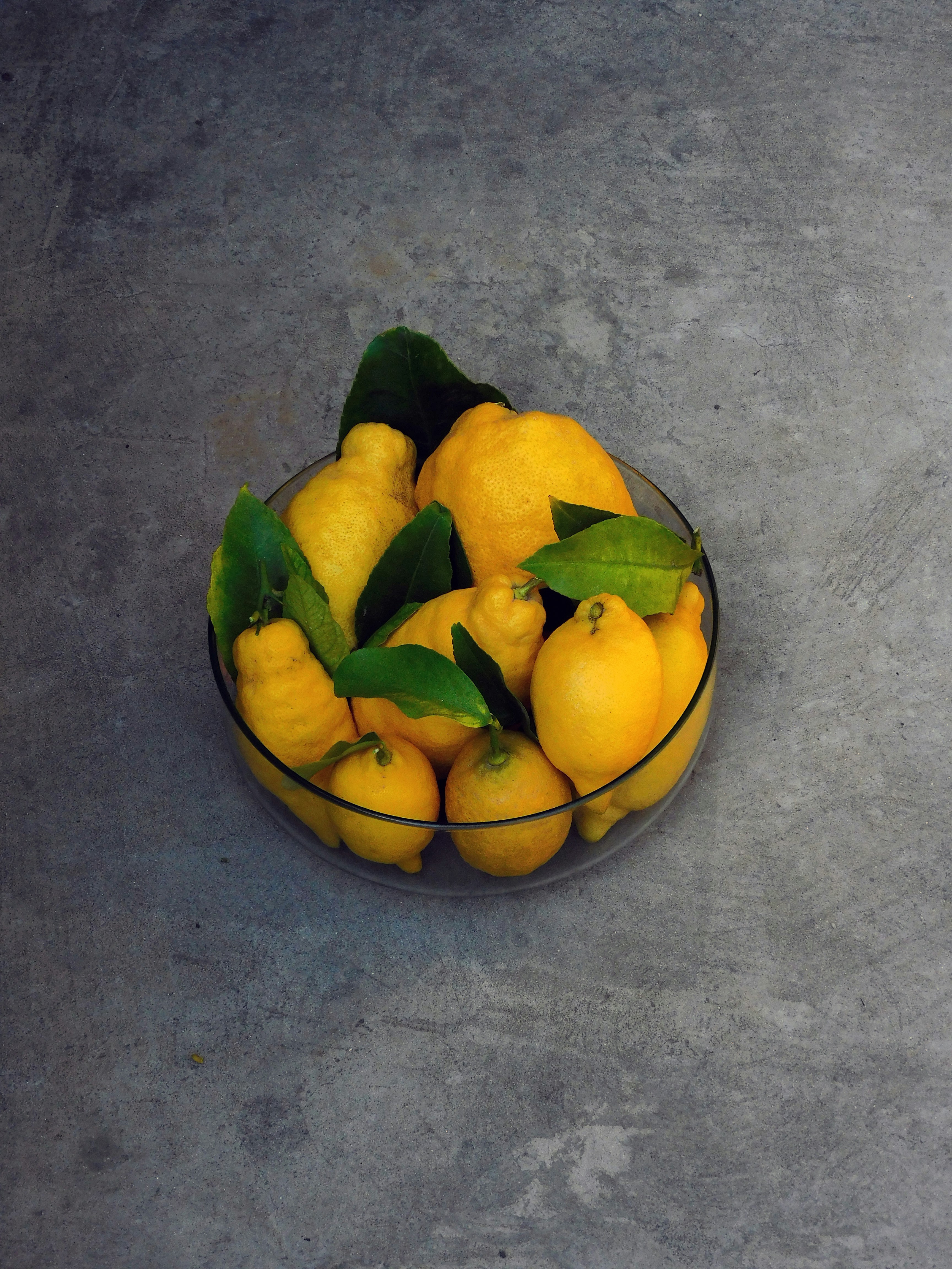 Photo by By Pils with Nikon Coolpix B600