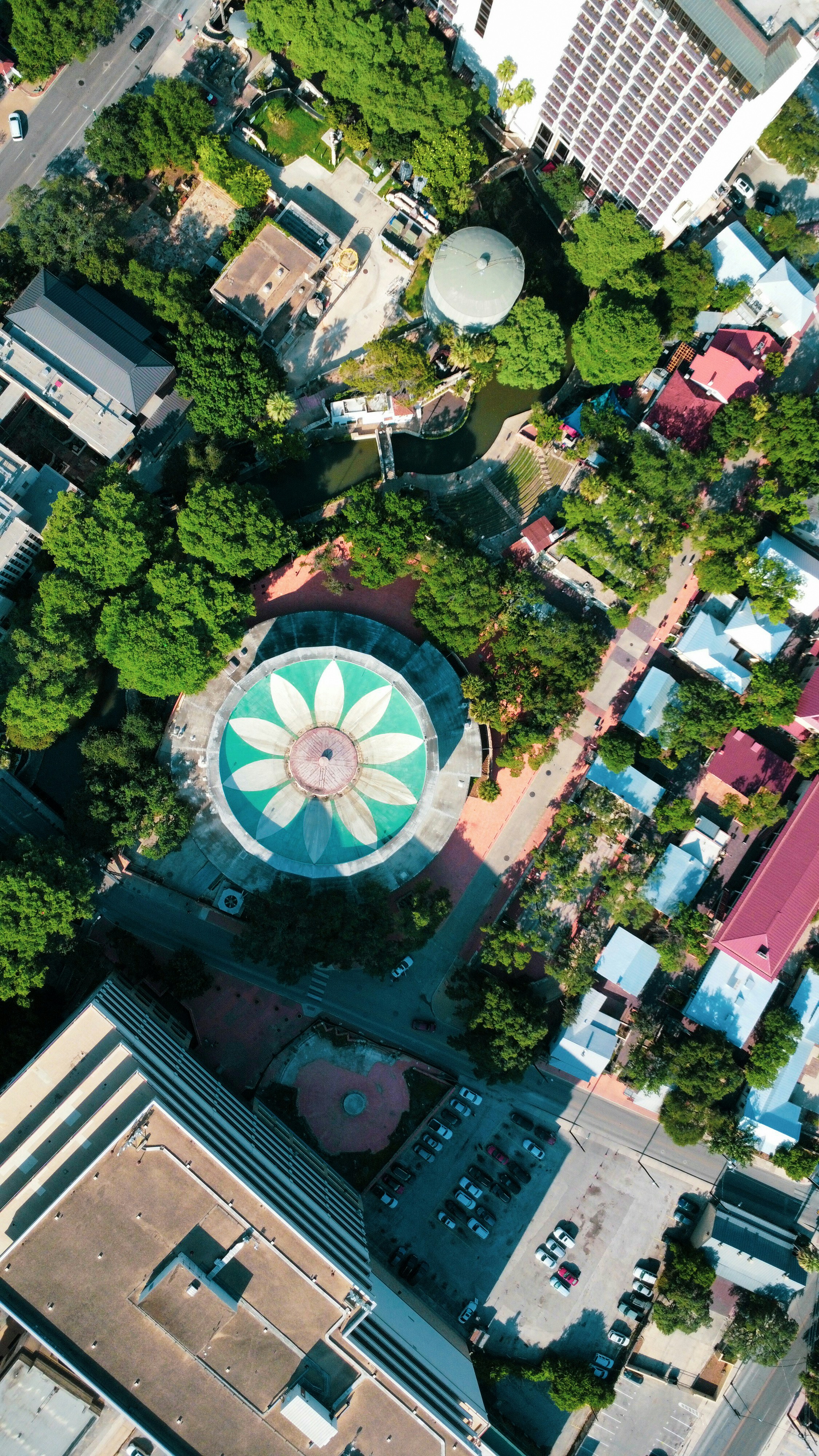 Aerial Palette: Circular Atrium Cradled by Green Canopy