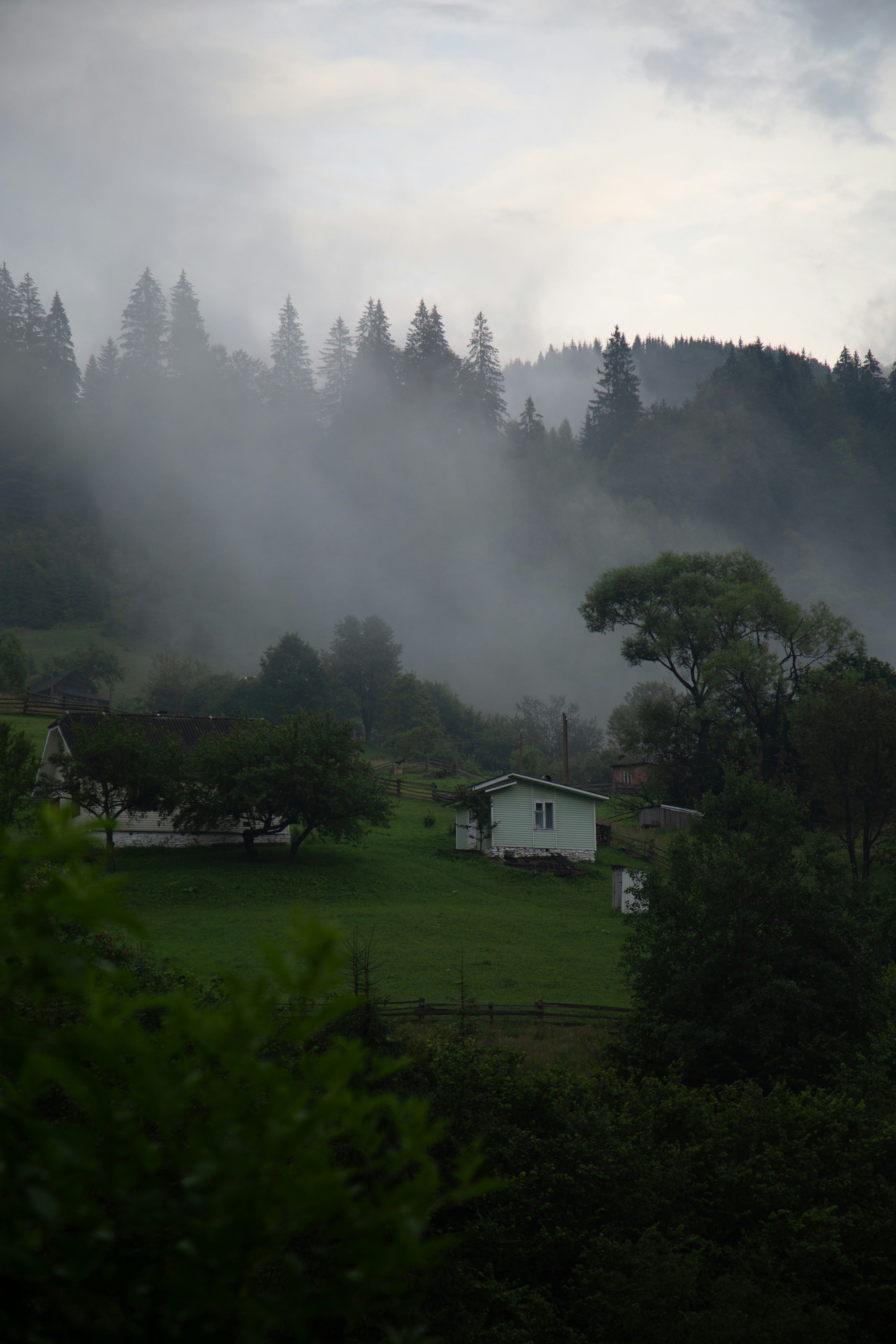 Fog-Wrapped Cottage Beneath a Whispering Forest Ridge