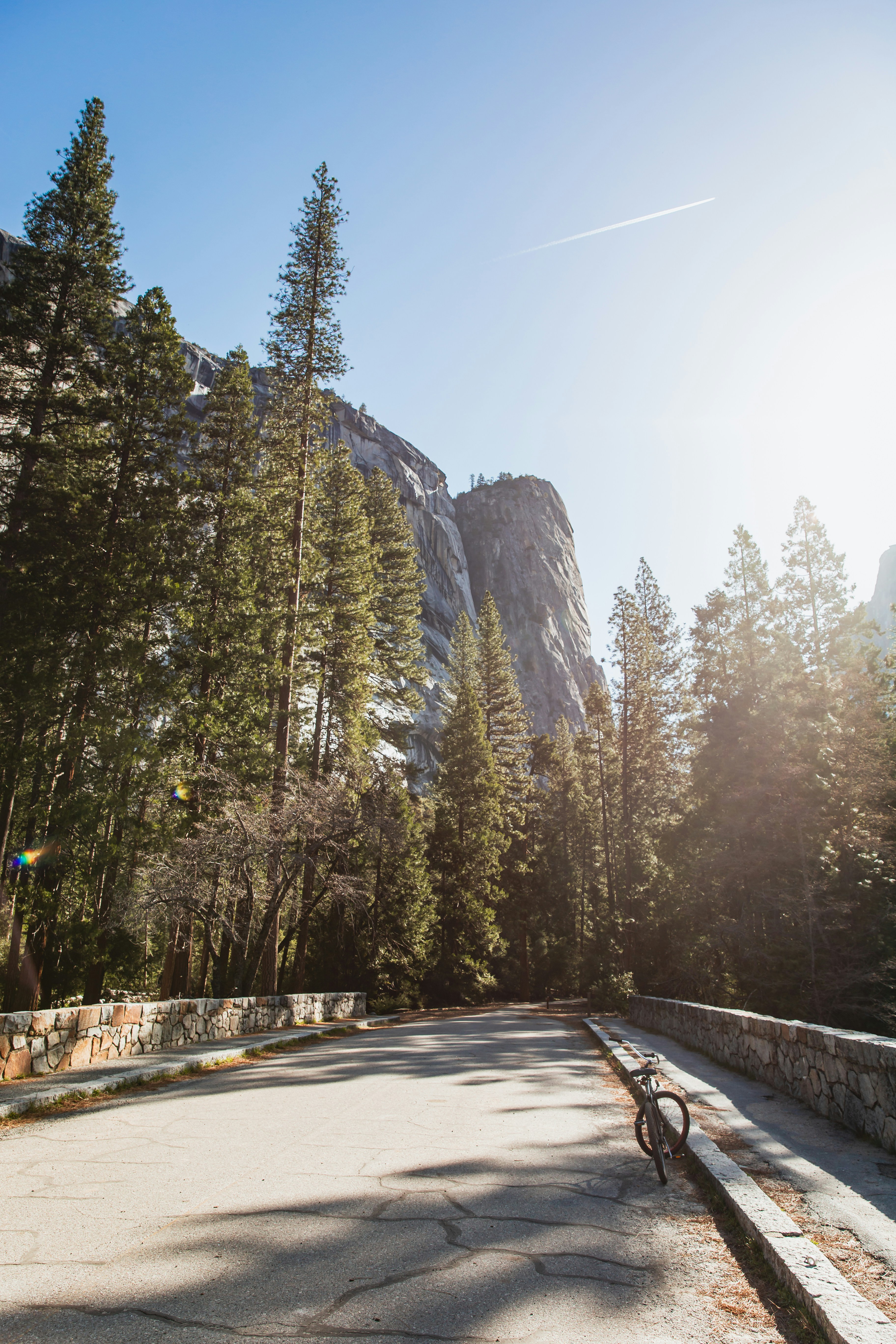 Bicycle at the Edge: Sunlit Pines on a Quiet Mountain Road