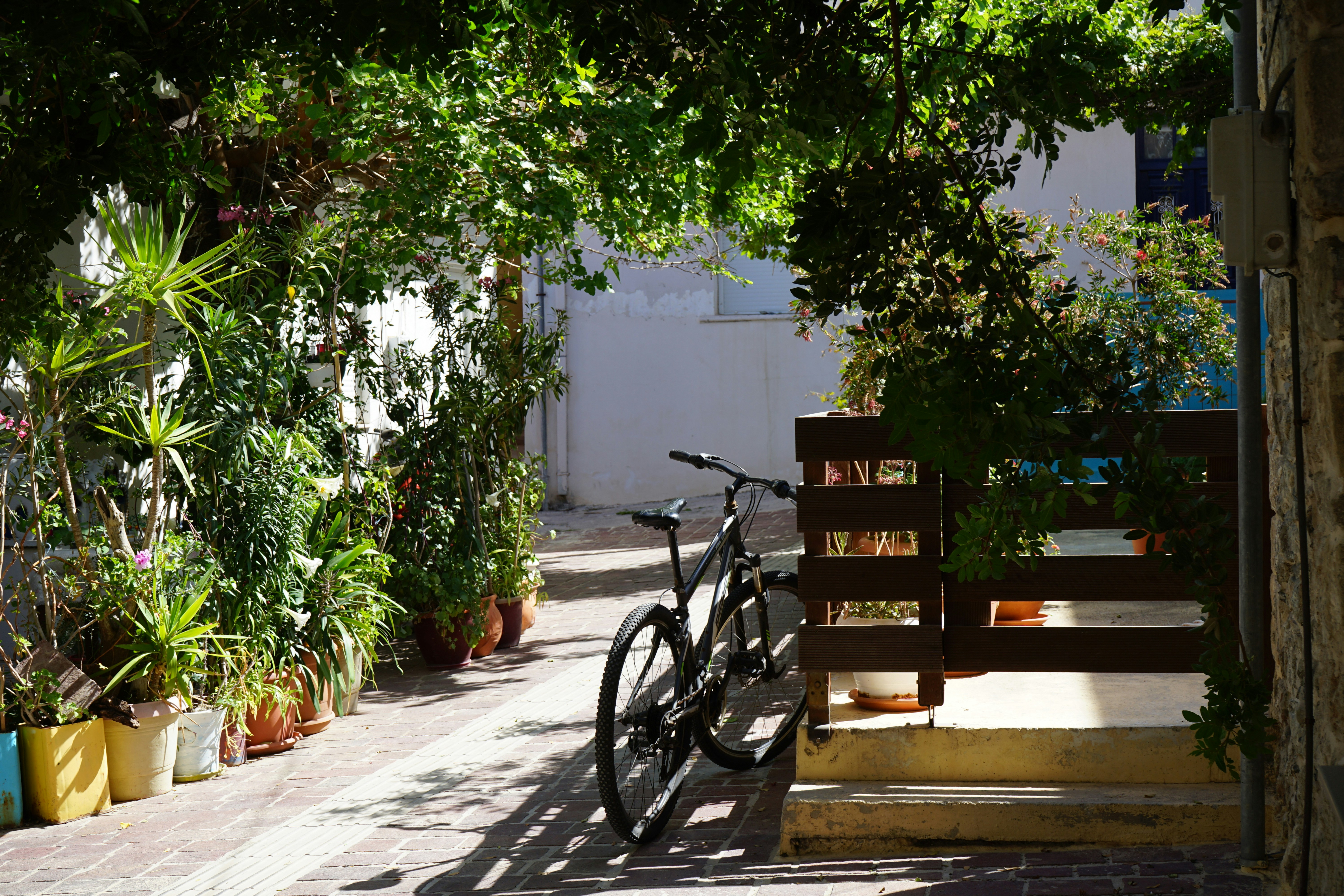Quiet courtyard with a bicycle near sunlit steps