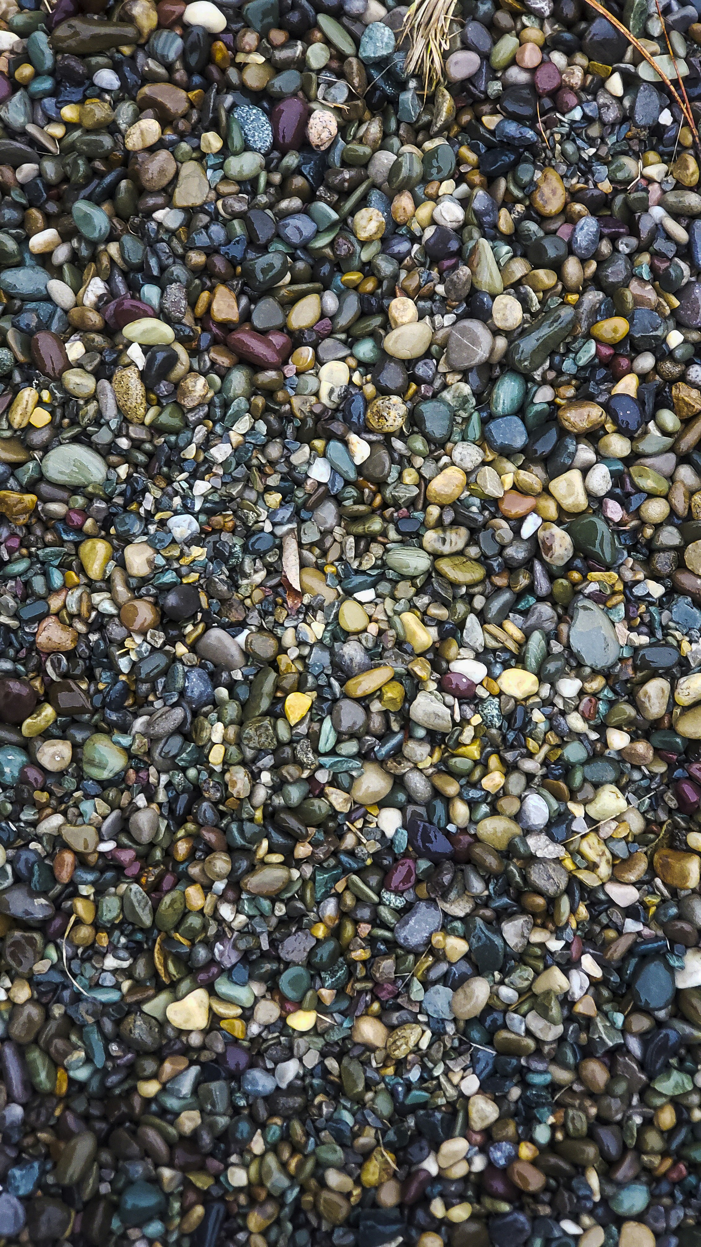 David Wilson (@captaindavida) | Komunitas Foto Unsplash