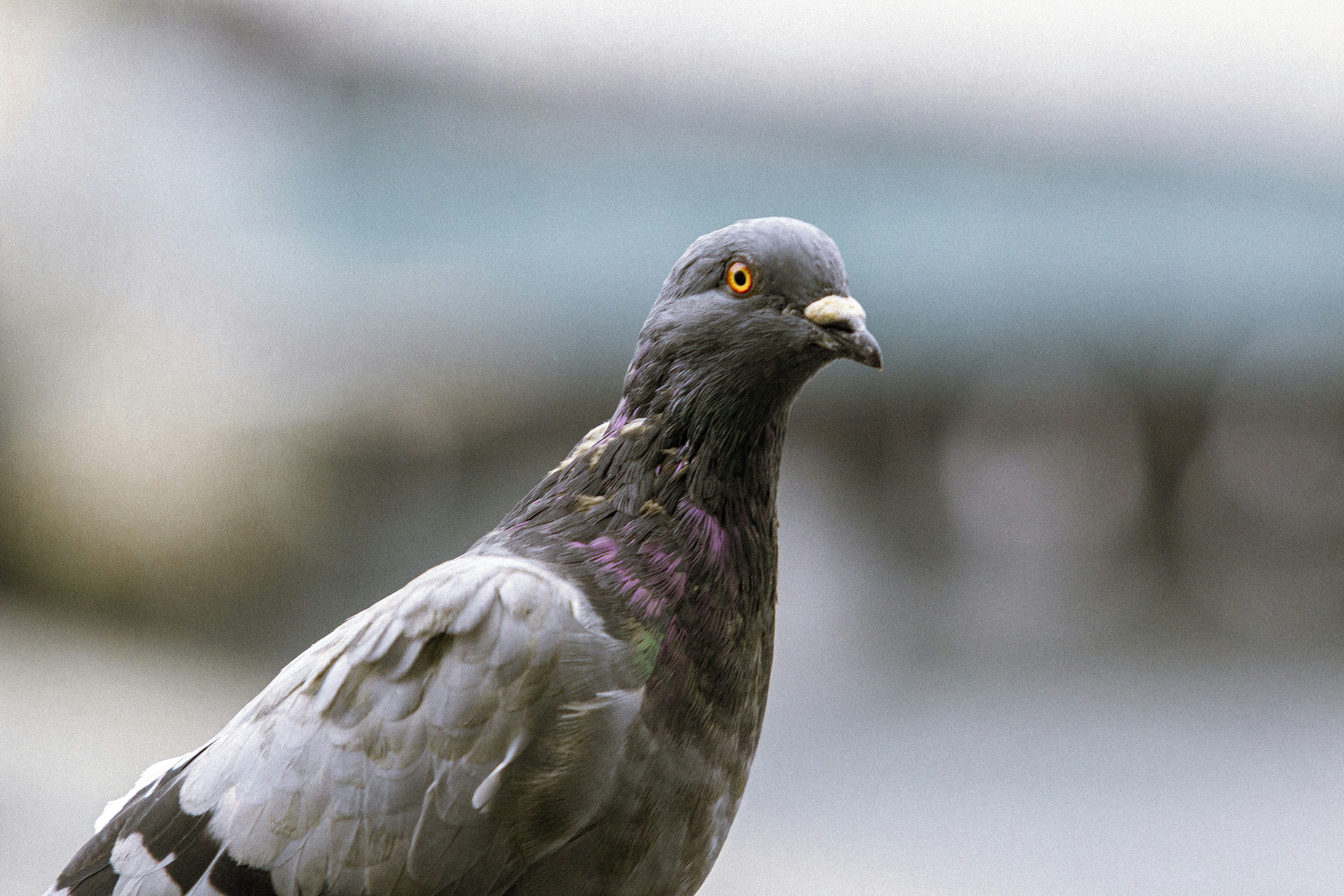 David Wilson (@captaindavida) | Komunitas Foto Unsplash