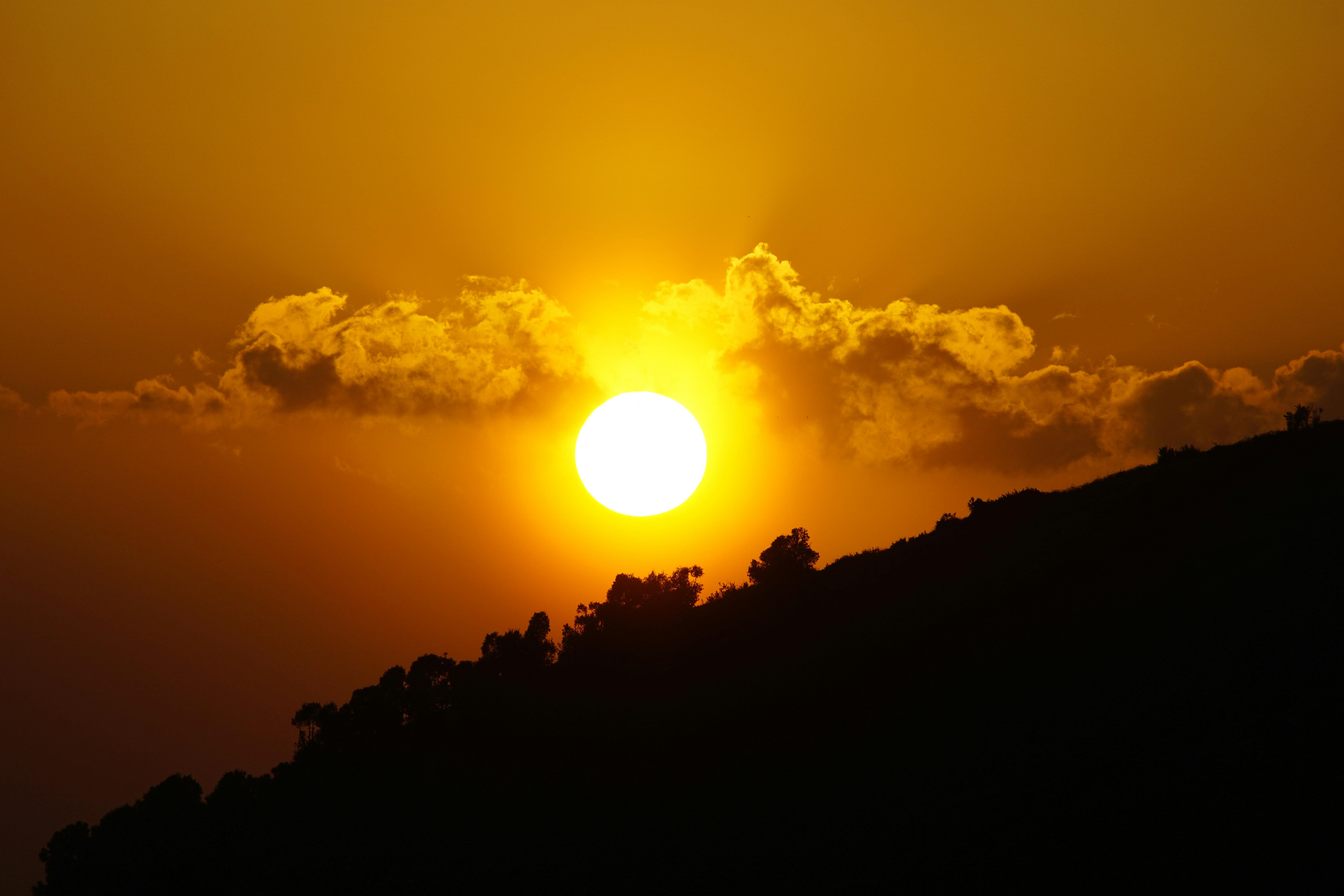 The sun is setting over a hill with trees photo – Free Pithoragarh ...