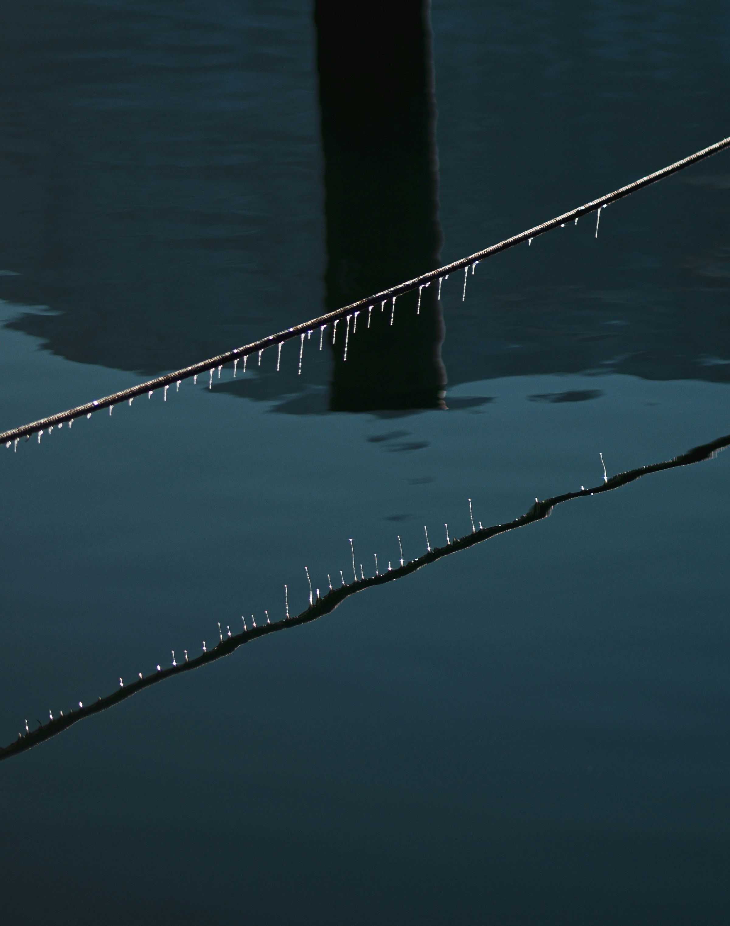 Sample photo from Olympus OM-D E-M10 Mark III