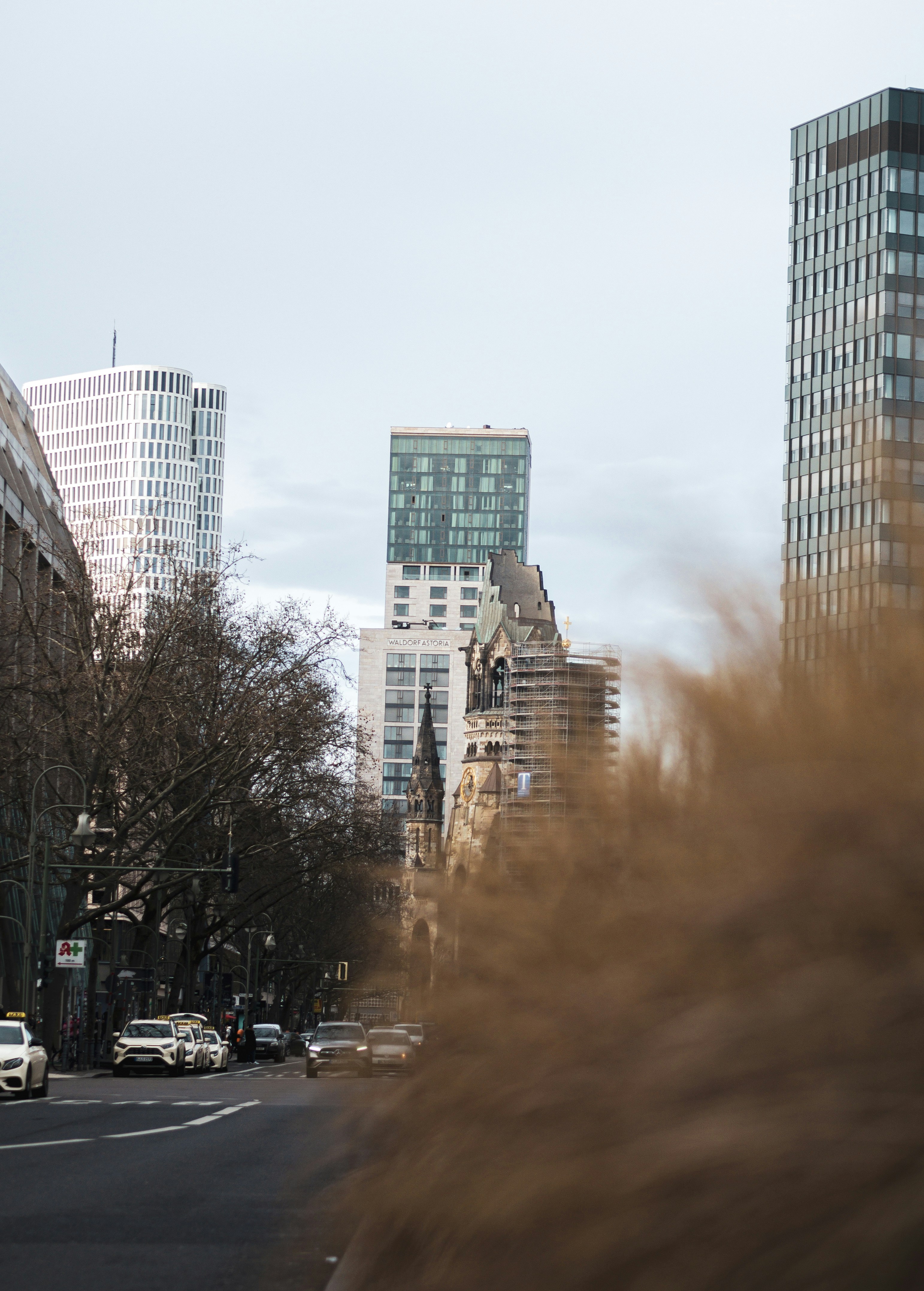 Photo by Anna with Olympus OM-D E-M10 Mark III