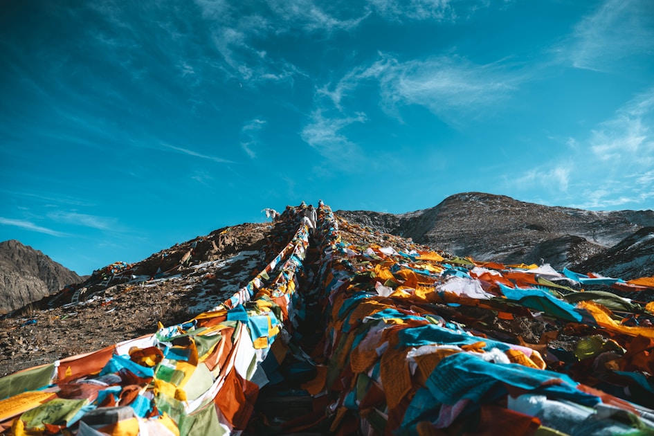 Toxic Threads: The Petrochemical Fabric Challenge | The Visionary Movement
