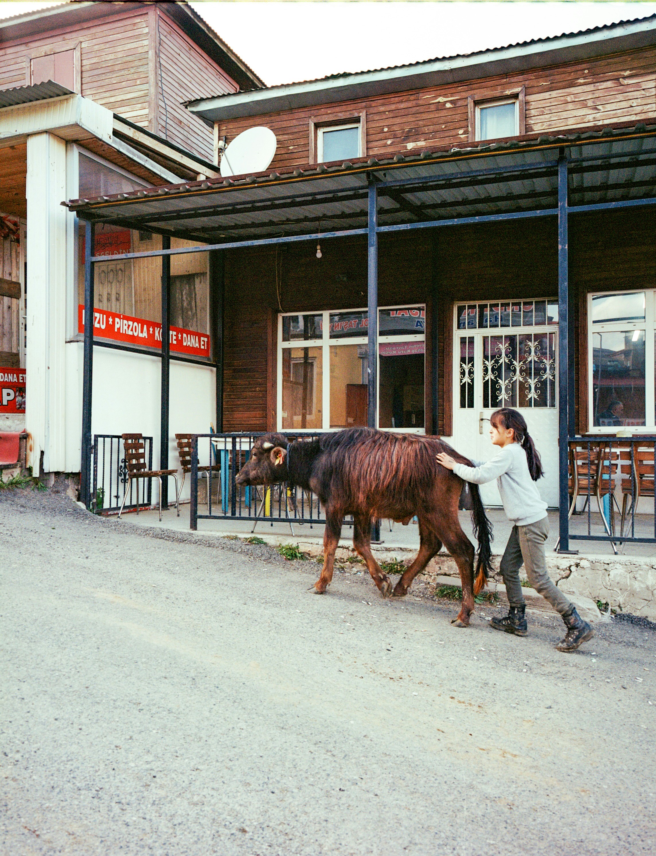 A girl leads a brown pony down a dusty street in front of a wooden storefront. The scene captures a quiet, everyday moment in a small town.