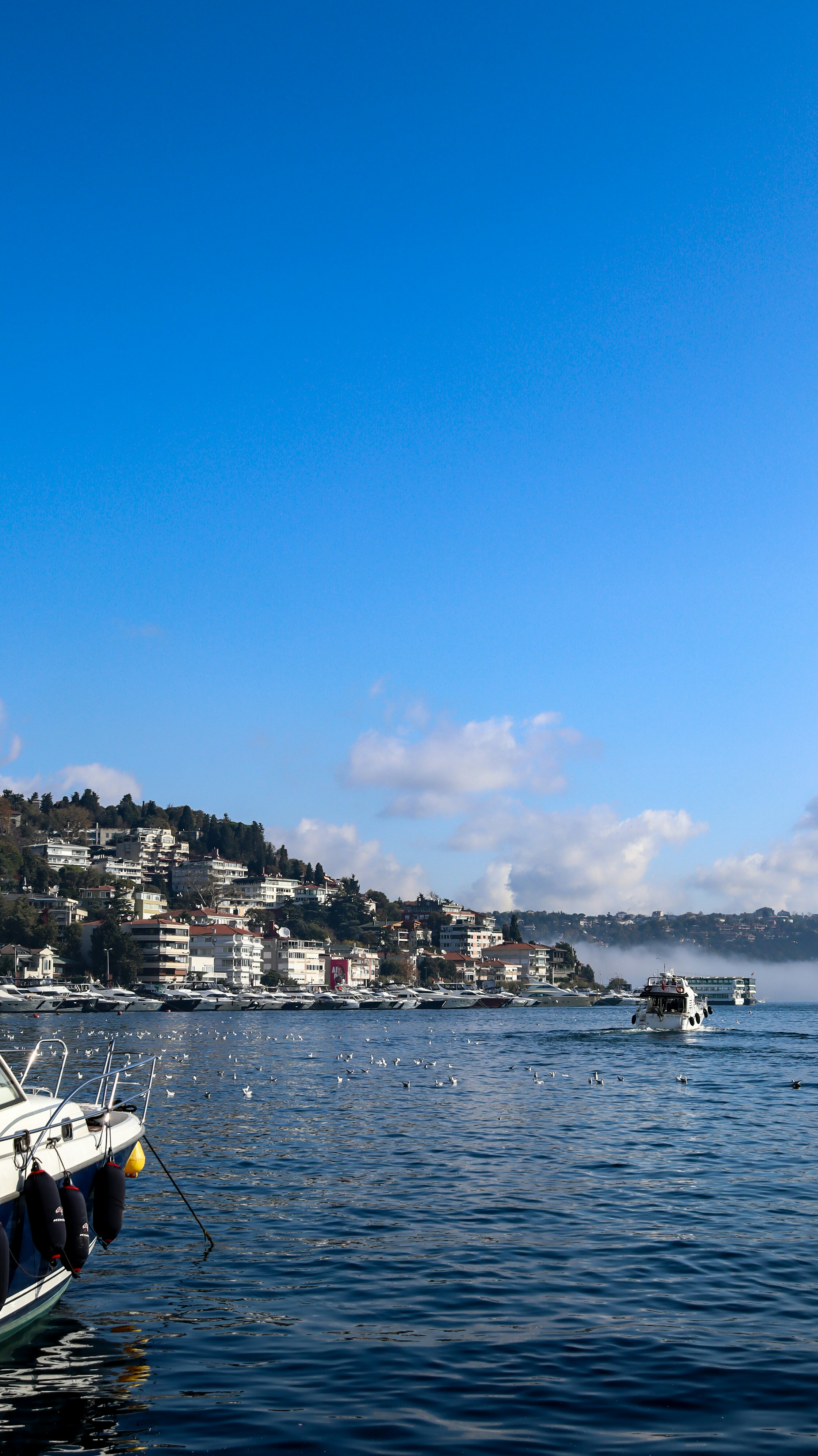 Harbor Calm: Boats, Buildings, and Blue Sky