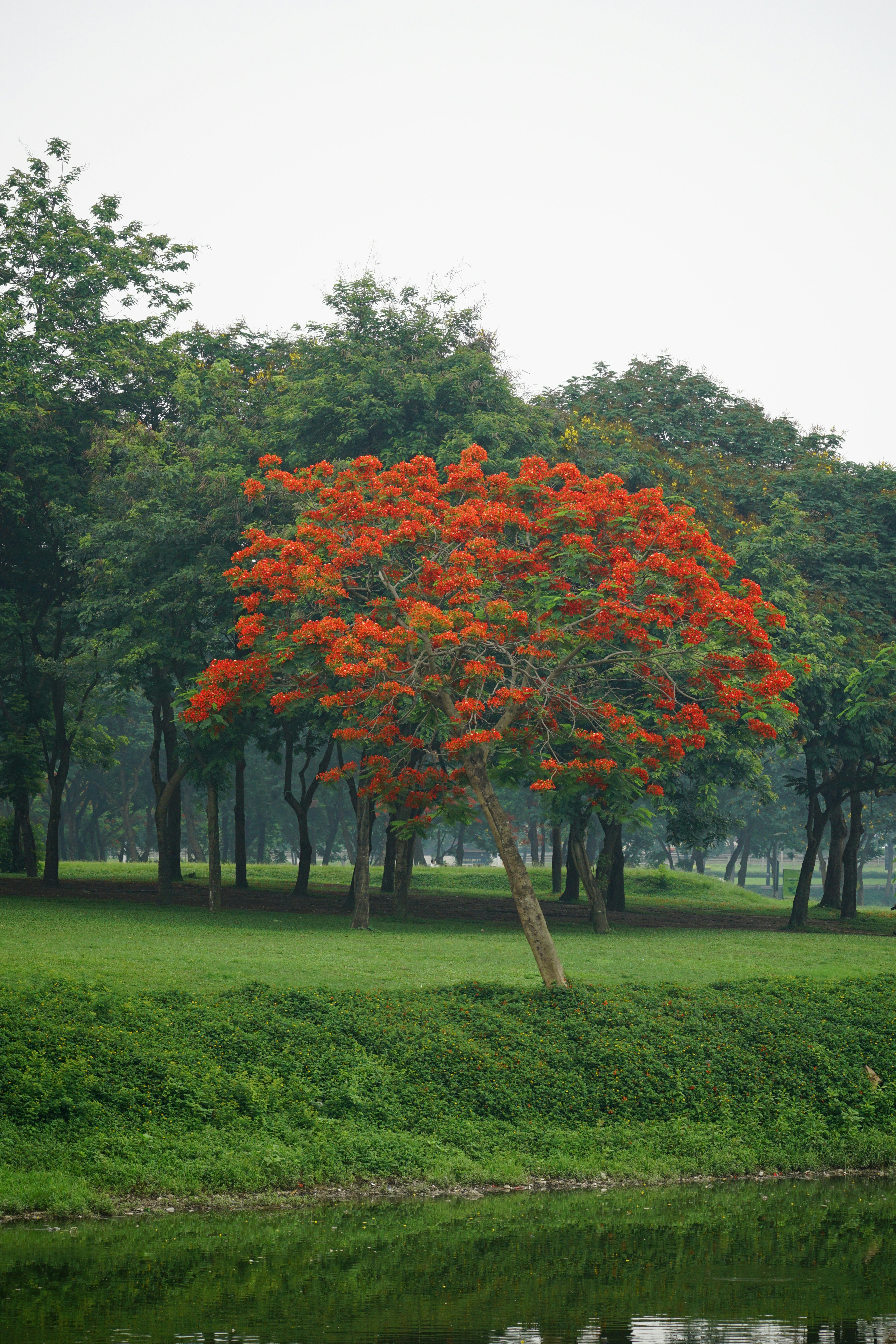 Photo by Duy Le Duc with Sony Alpha 6000