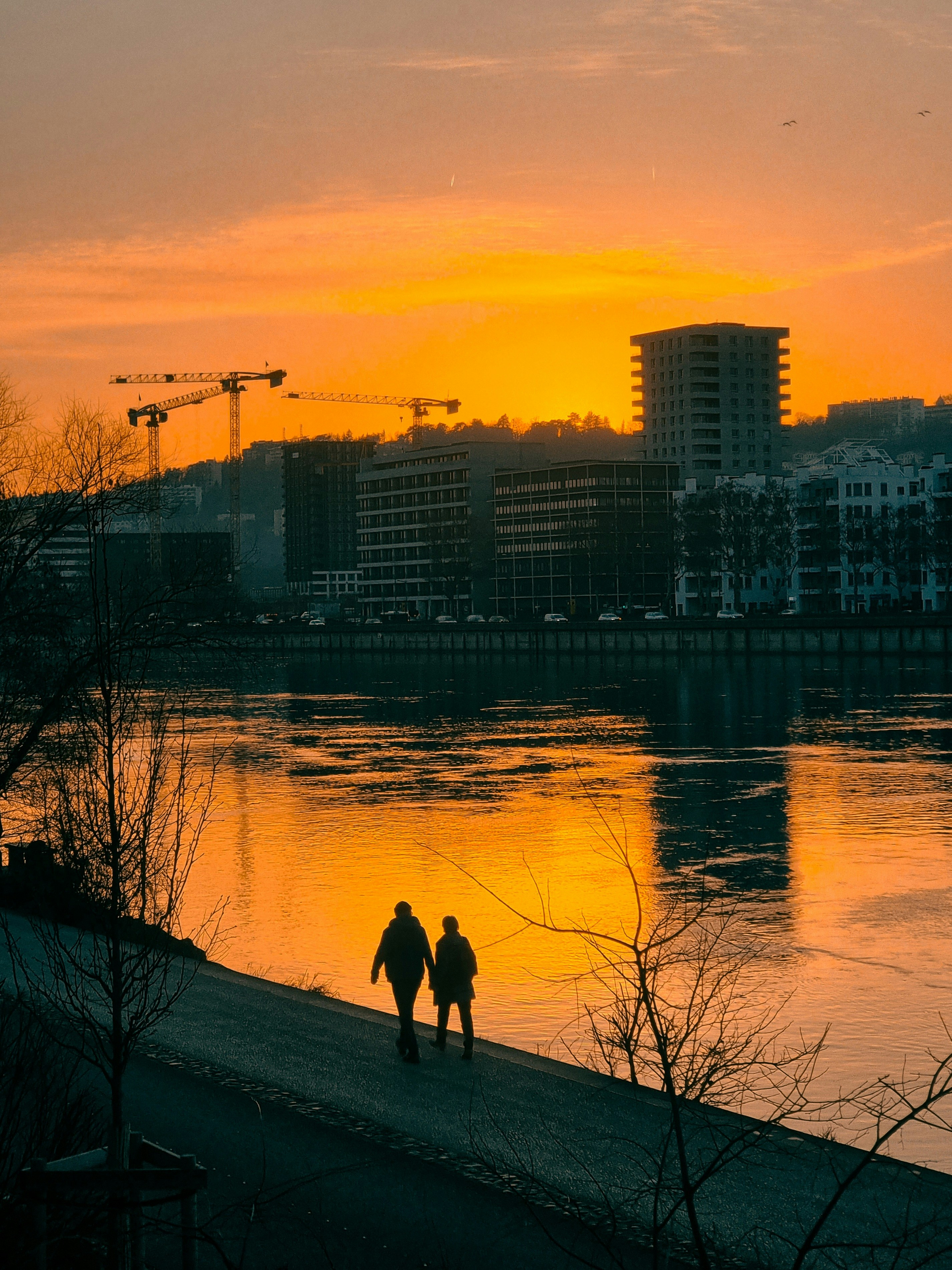 Silhouettes by the Riverside at Hushed Gold Sunset