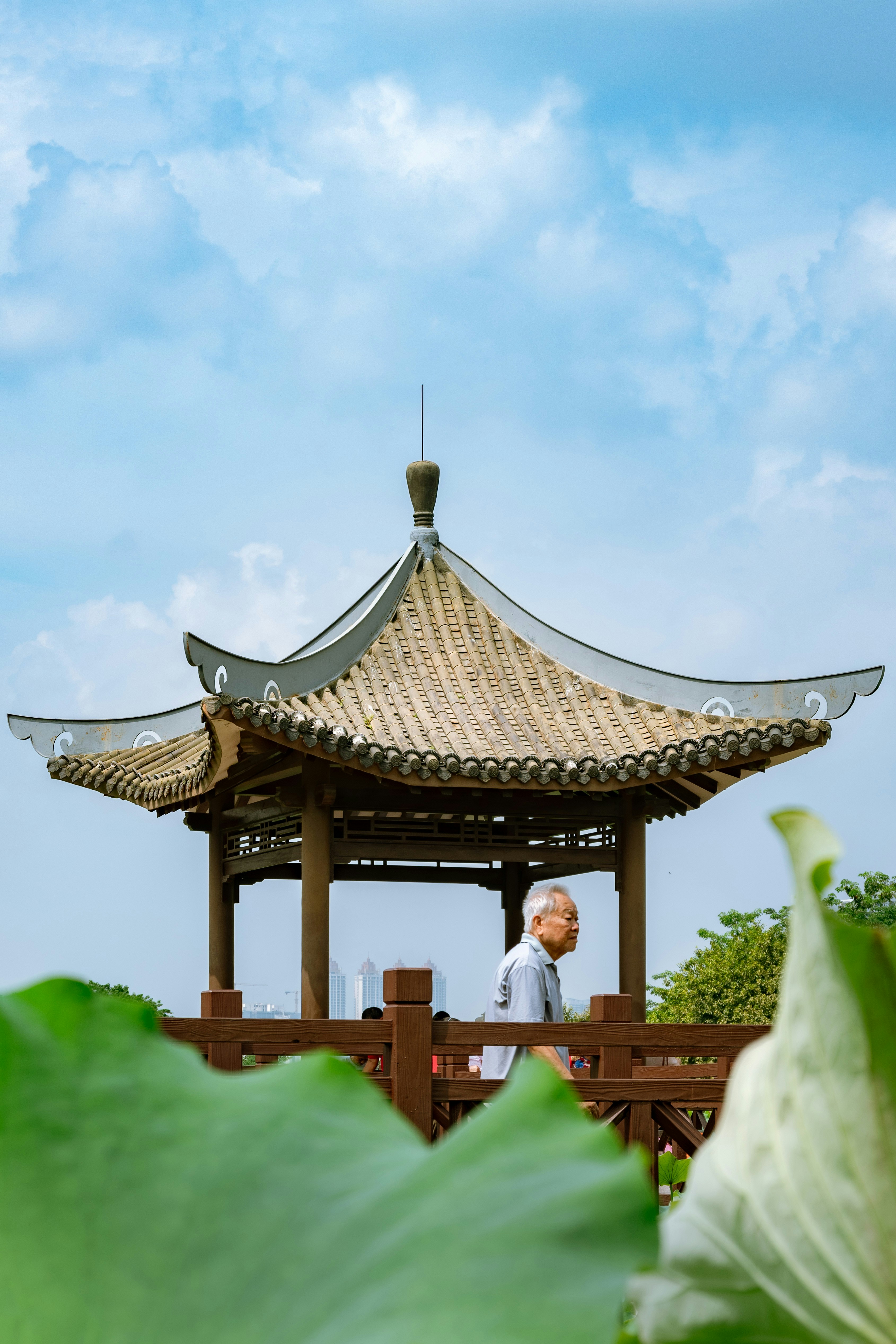 Footsteps in the Pavilion: A Quiet Moment Beneath the Curved Roof