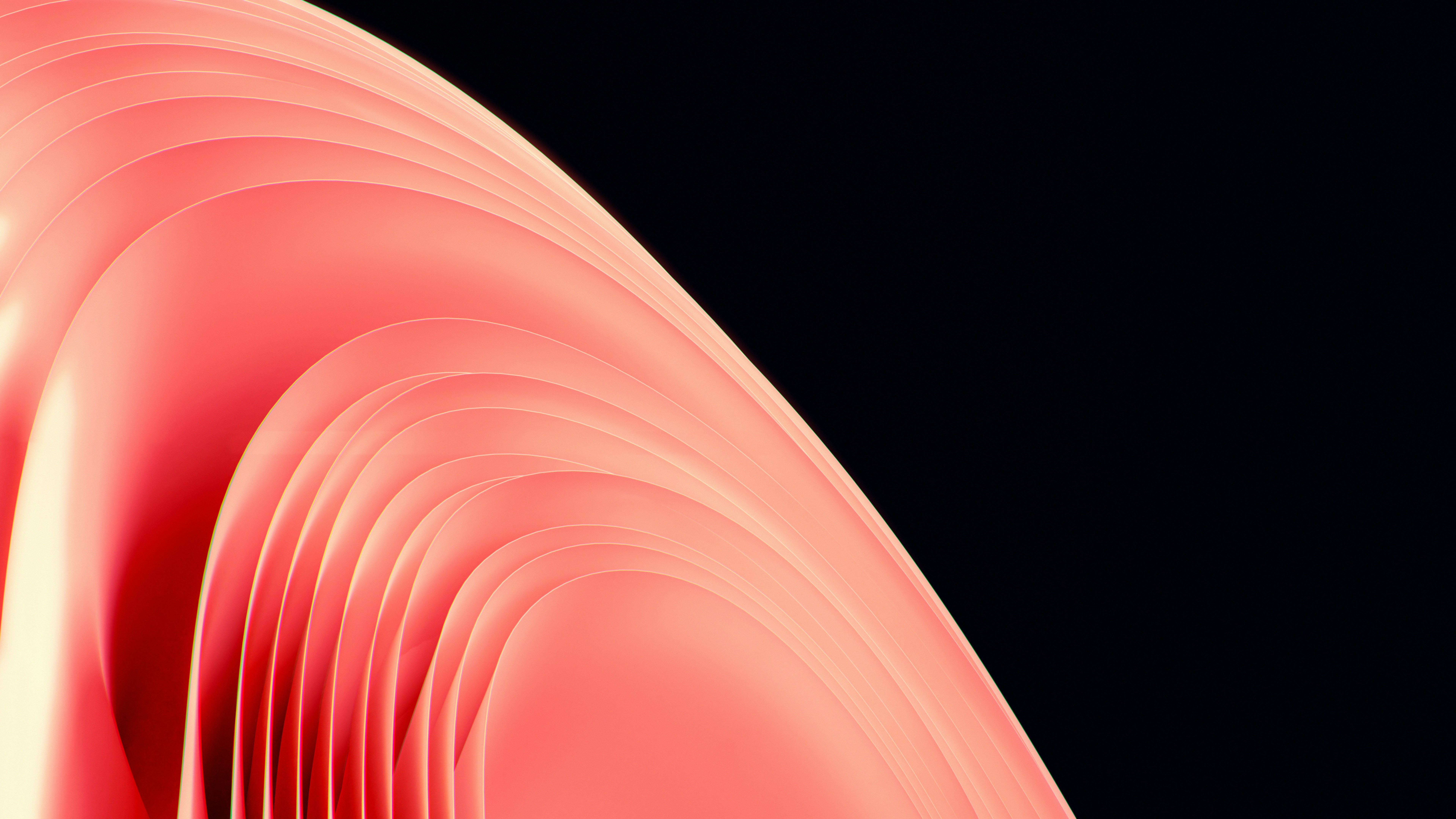A close up of a pink object on a black background photo – Free Render ...