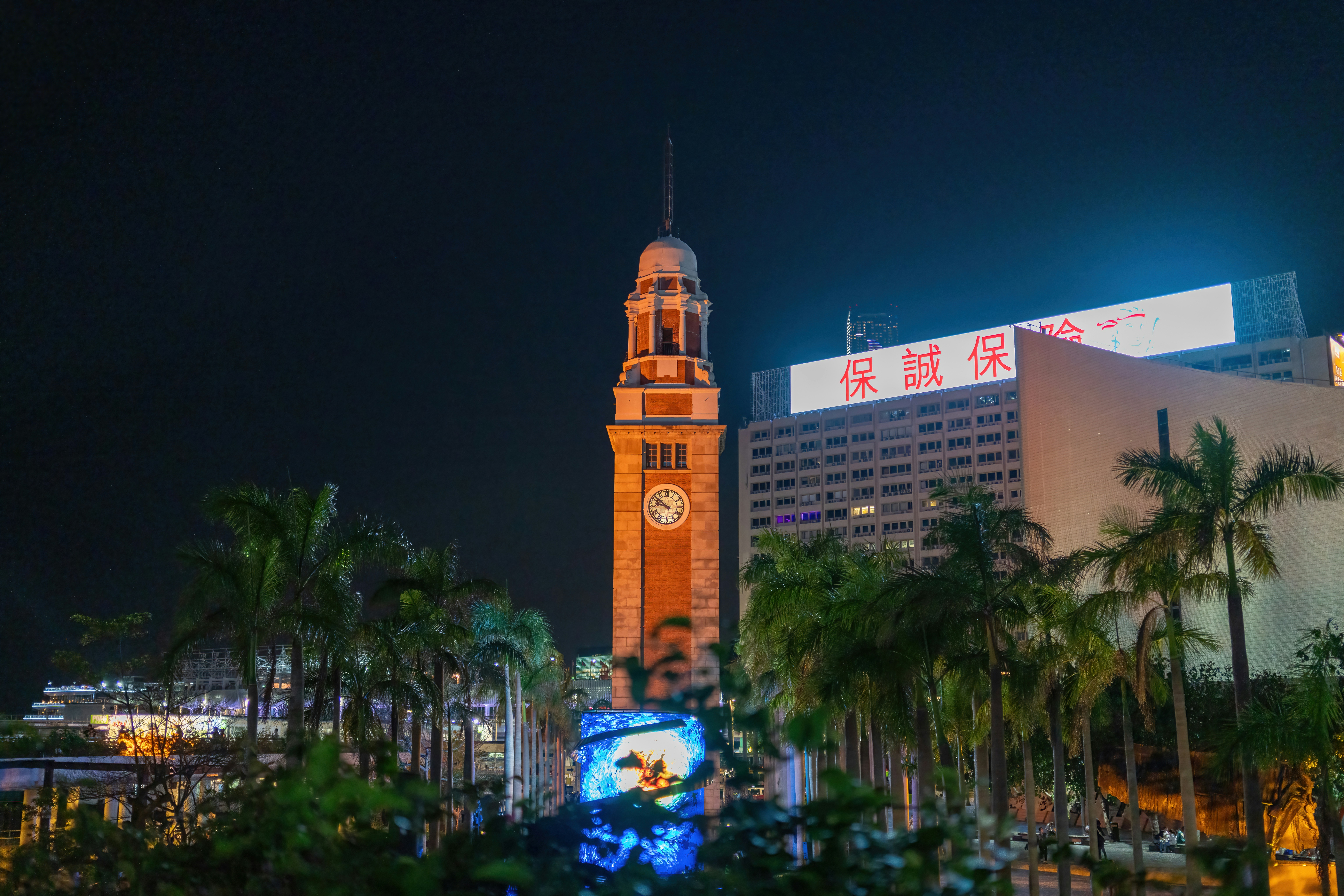 Neon Clock Tower Dawn: City Lights Framing Palm Shadows
