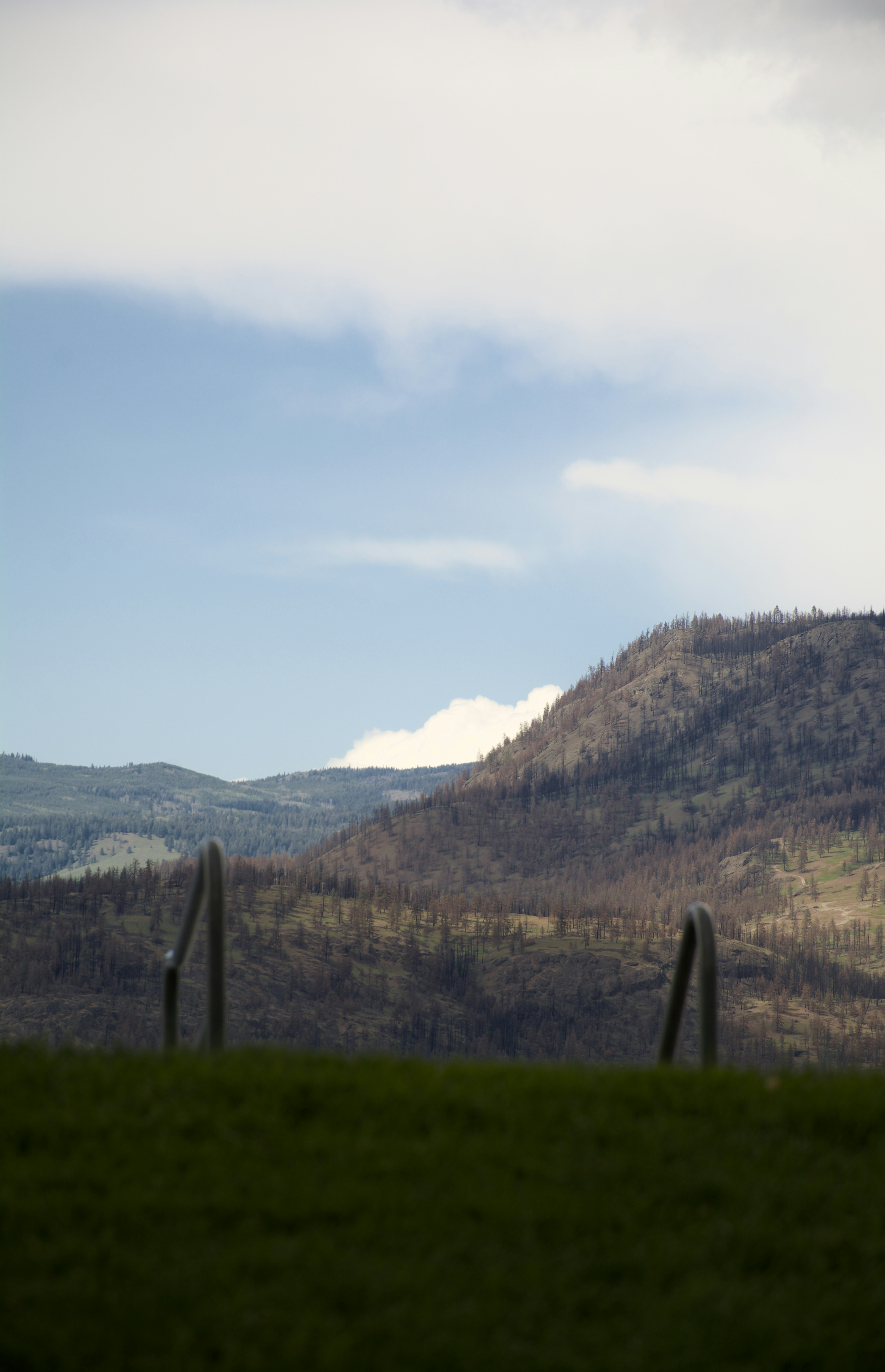 Sunlit Ridge Over Quiet Hillside