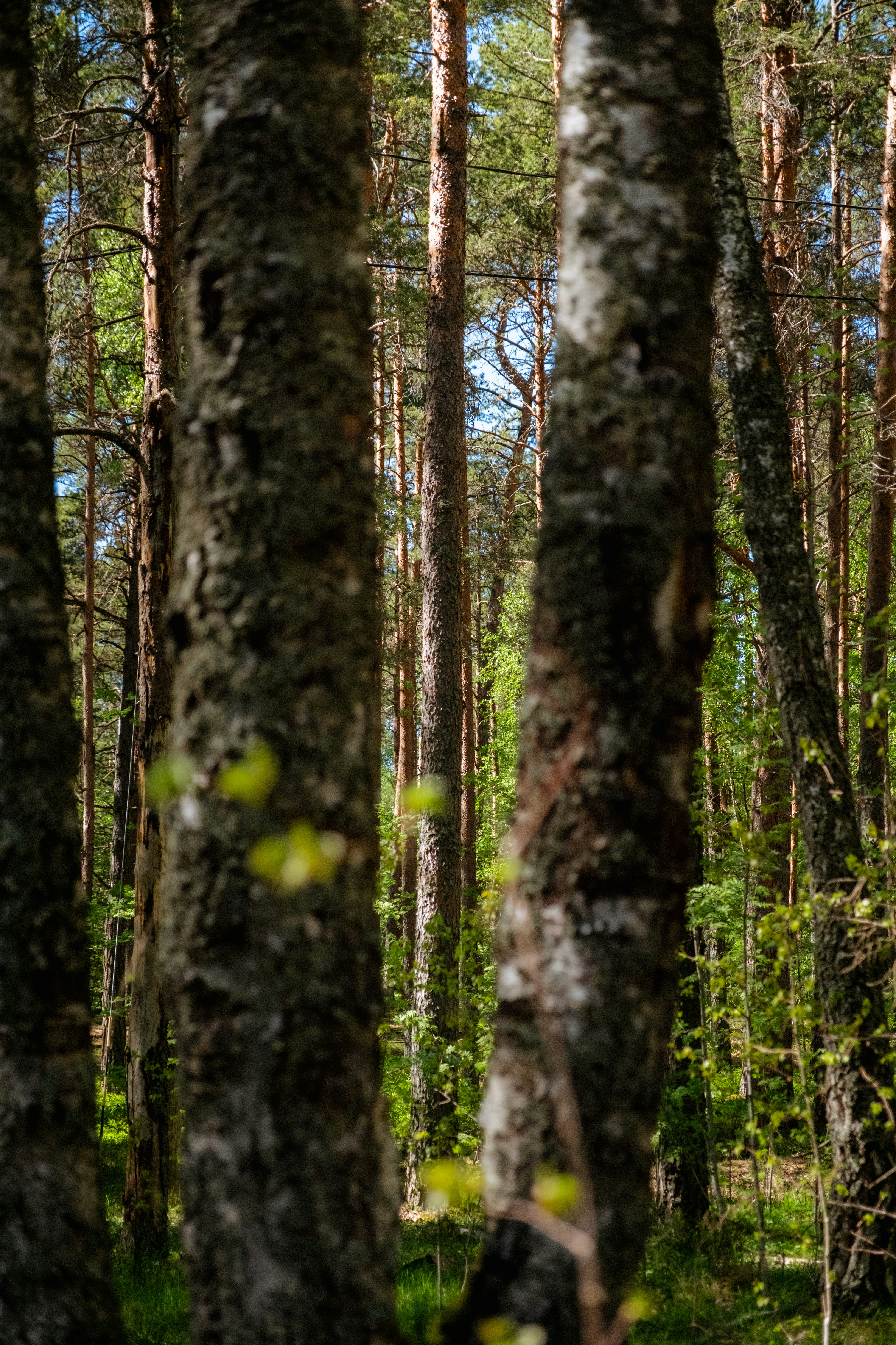 Sample photo from Fujifilm X-H2S