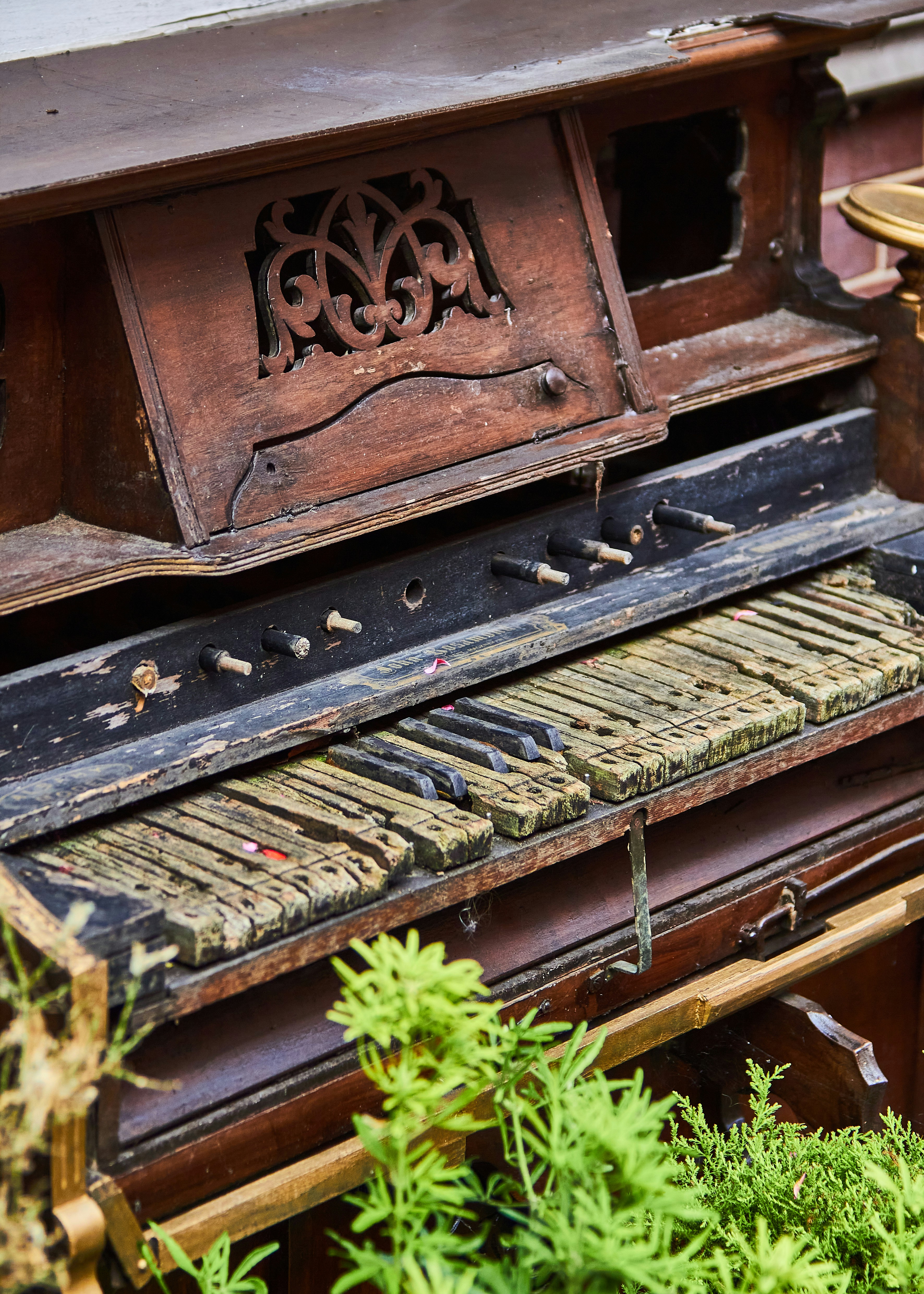 Photo by Friðrik R. Schram with Canon EOS 650D