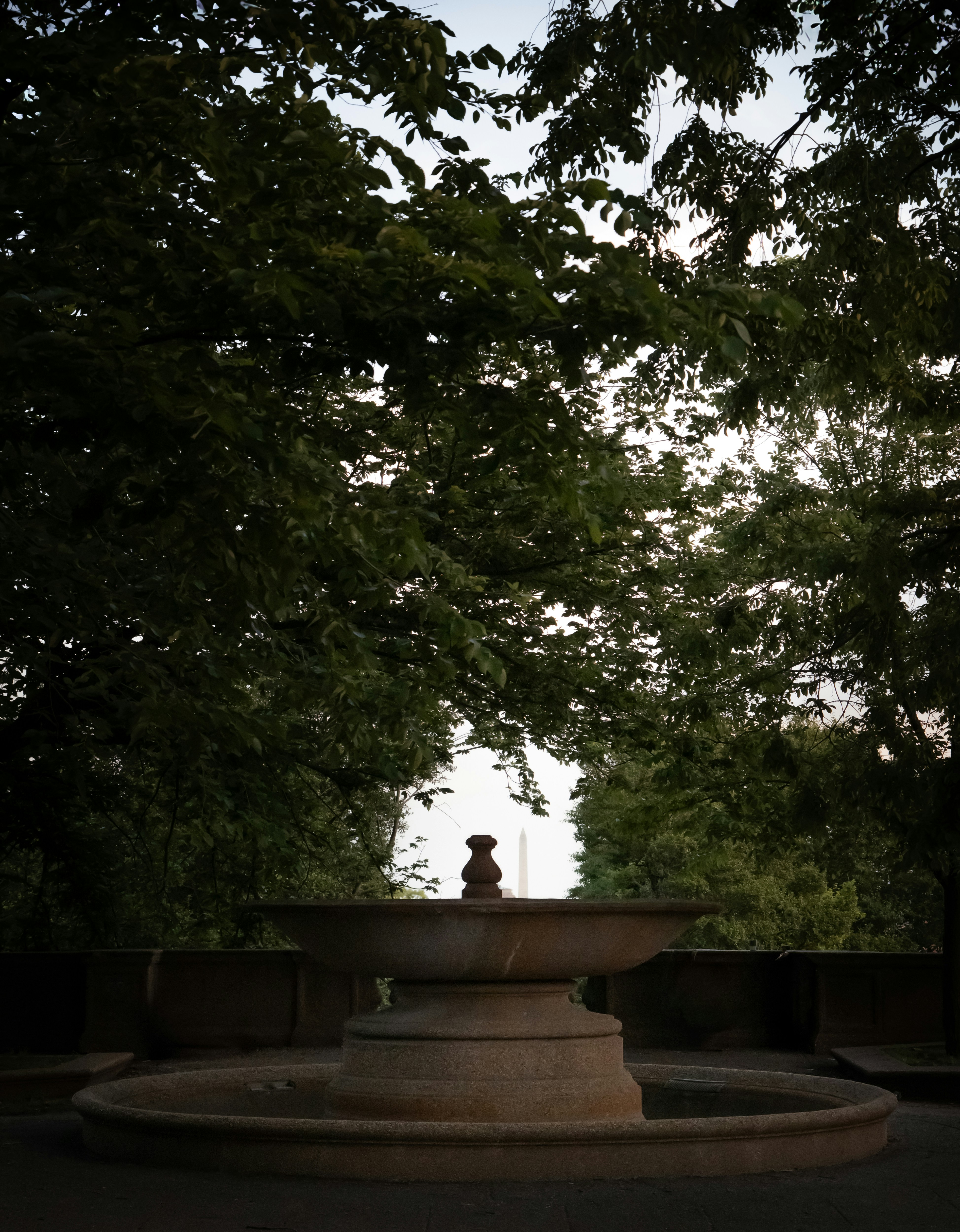 Centerpiece in the Shade: A Stone Fountain Framed by Foliage