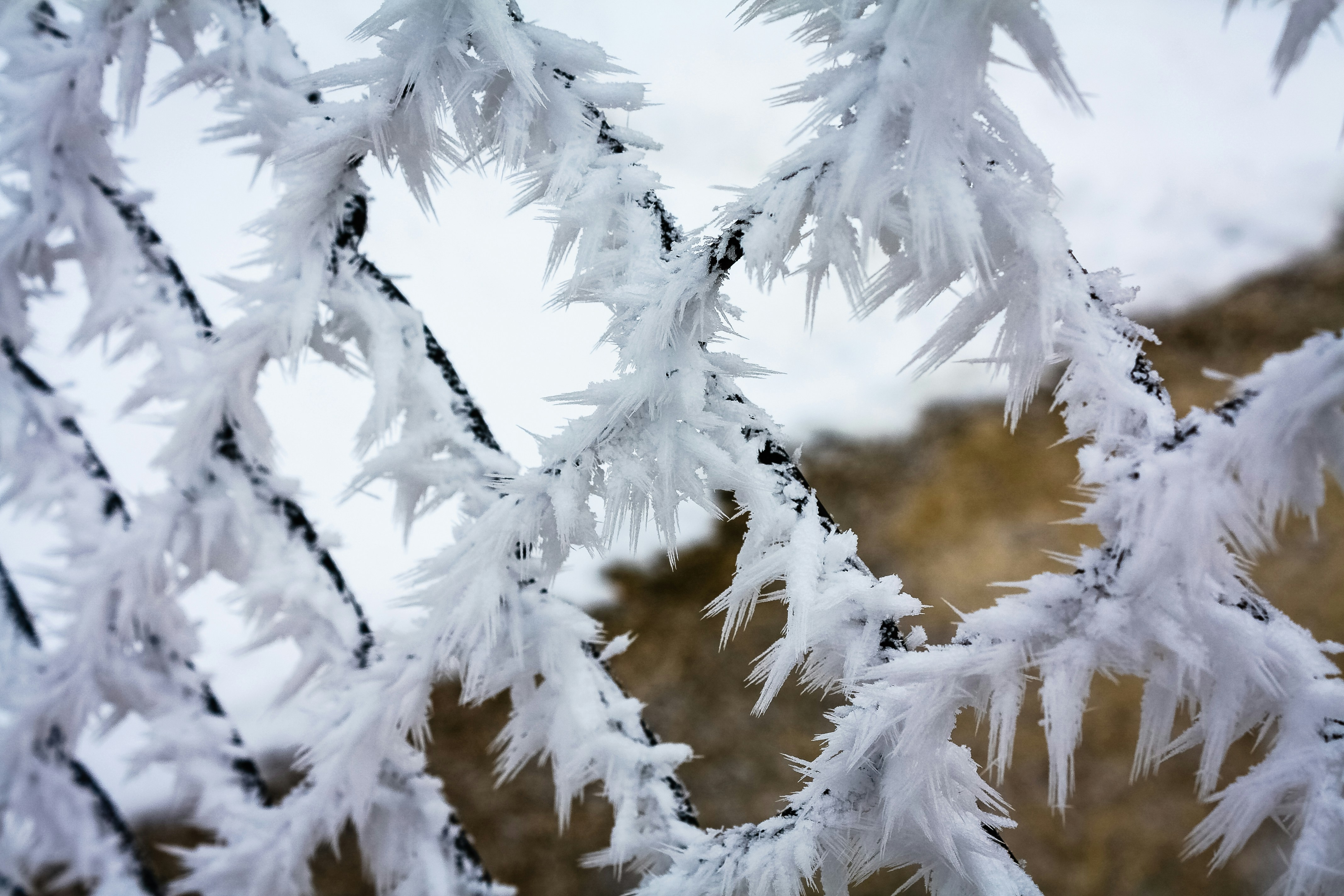 Tom Leu (@tomleu) | Unsplashフォトコミュニティ