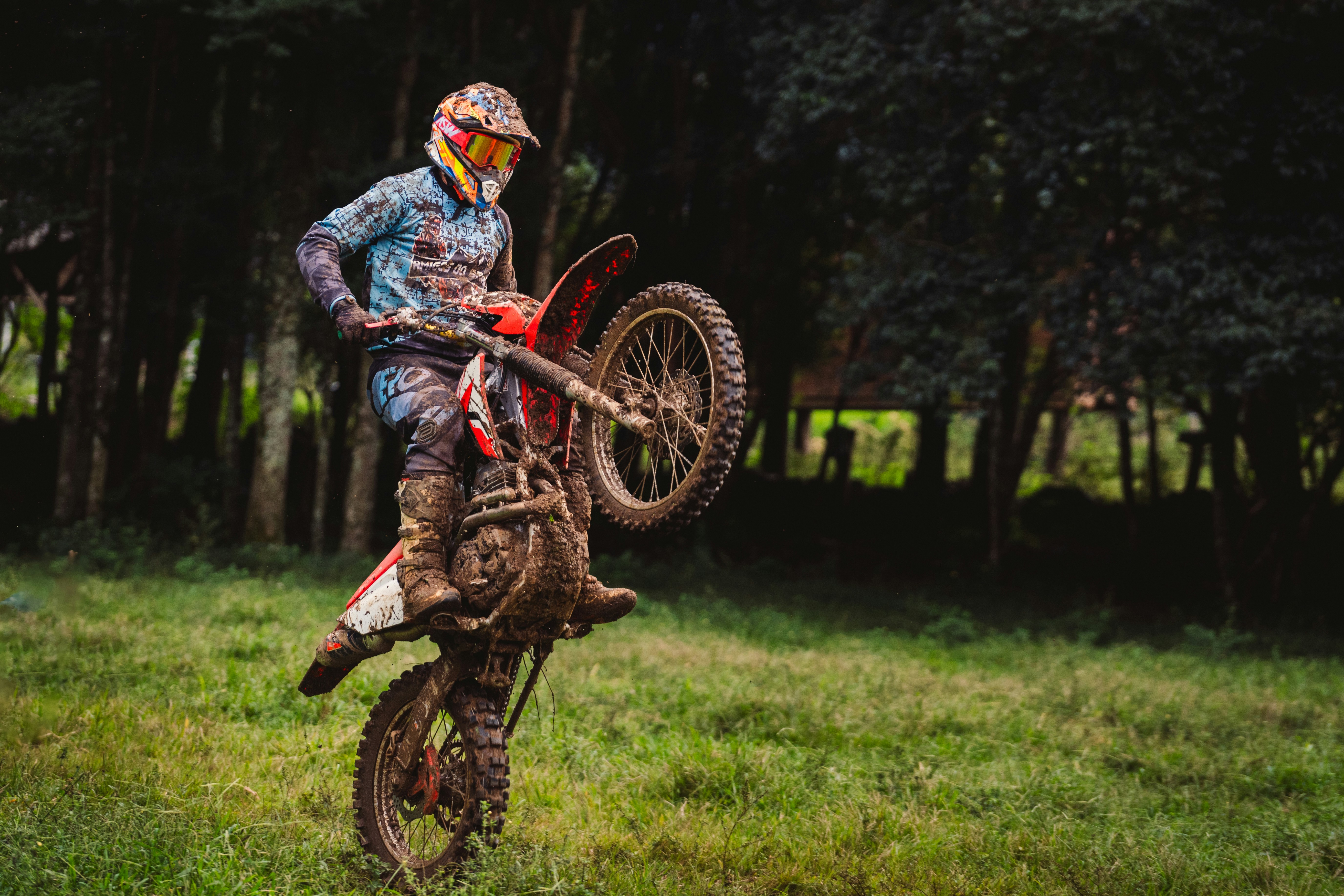 Dirt biker performing a wheelie on a muddy trail in a vibrant green field.