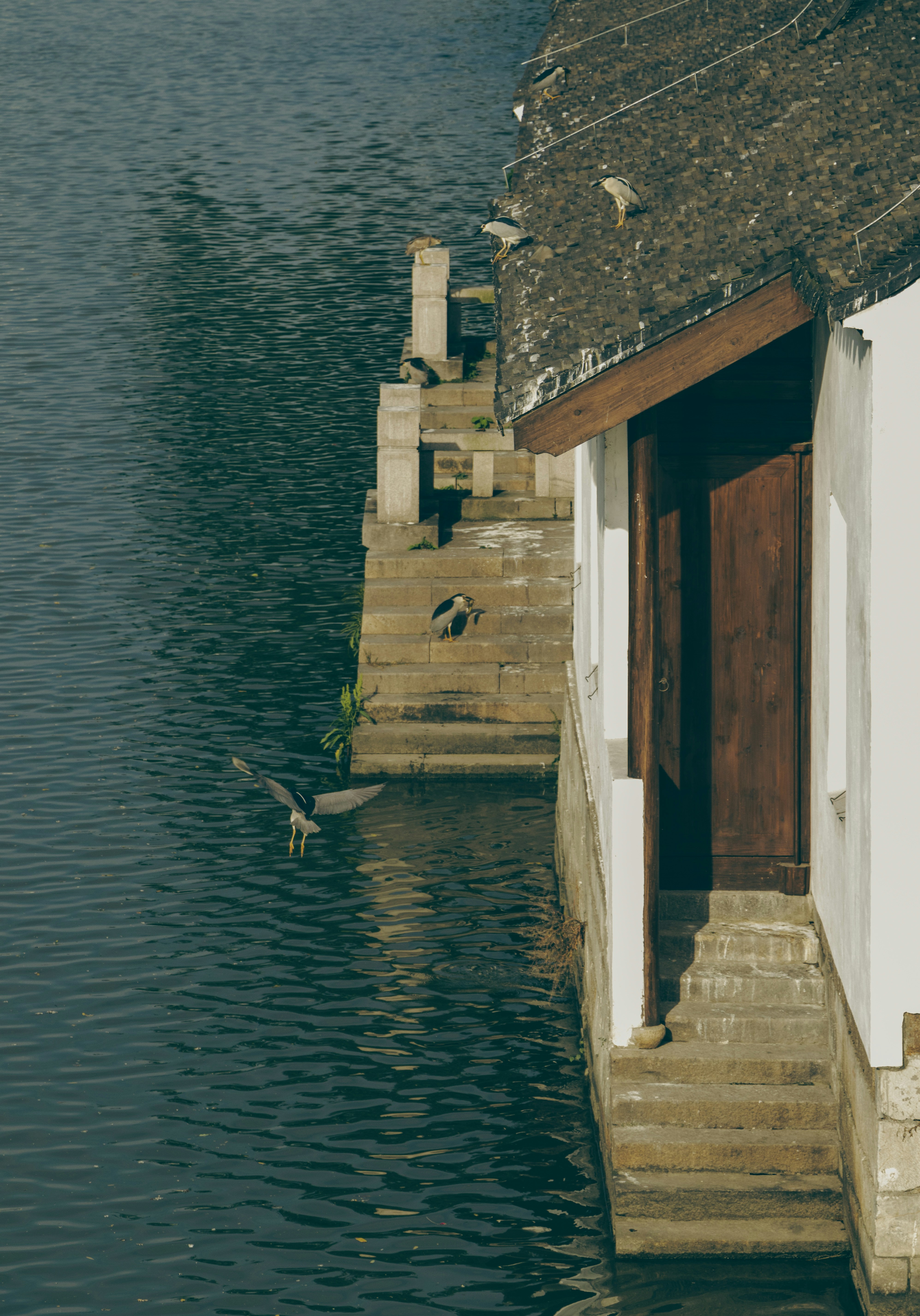 Waterfront Staircase to a Quiet Door
