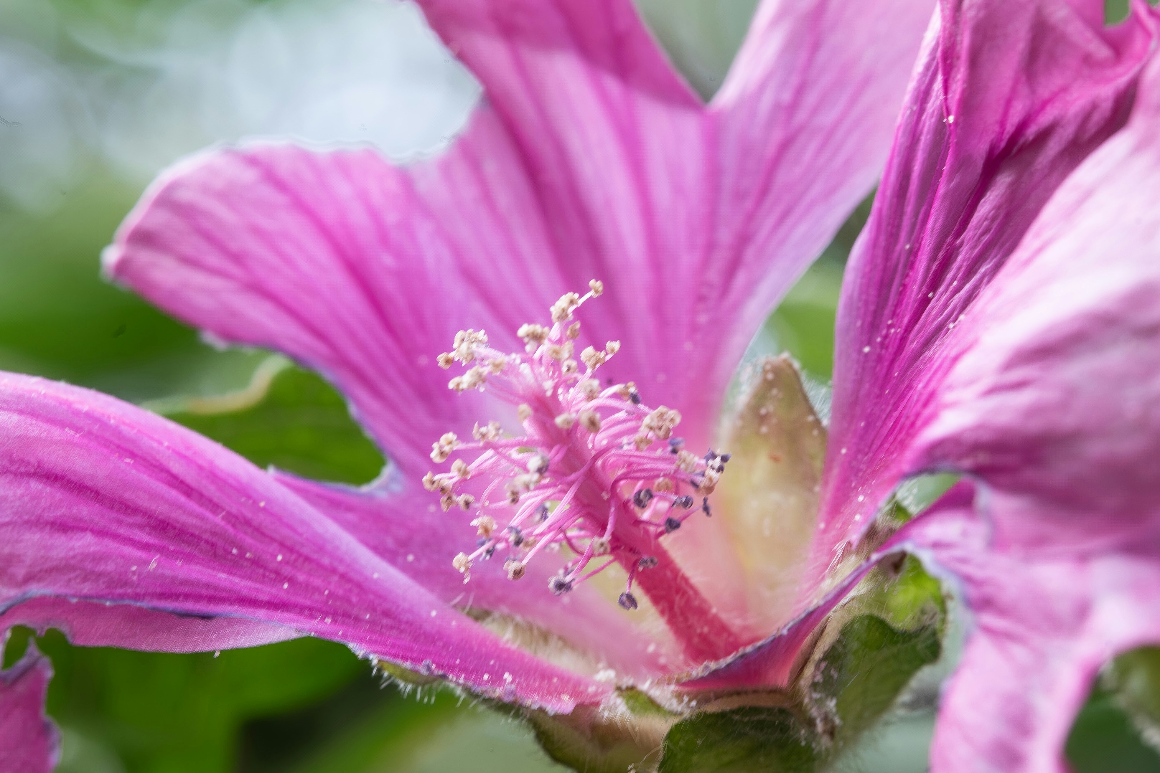 Ruth Gledhill (@ruthiegledhill) | Unsplash Photo Community