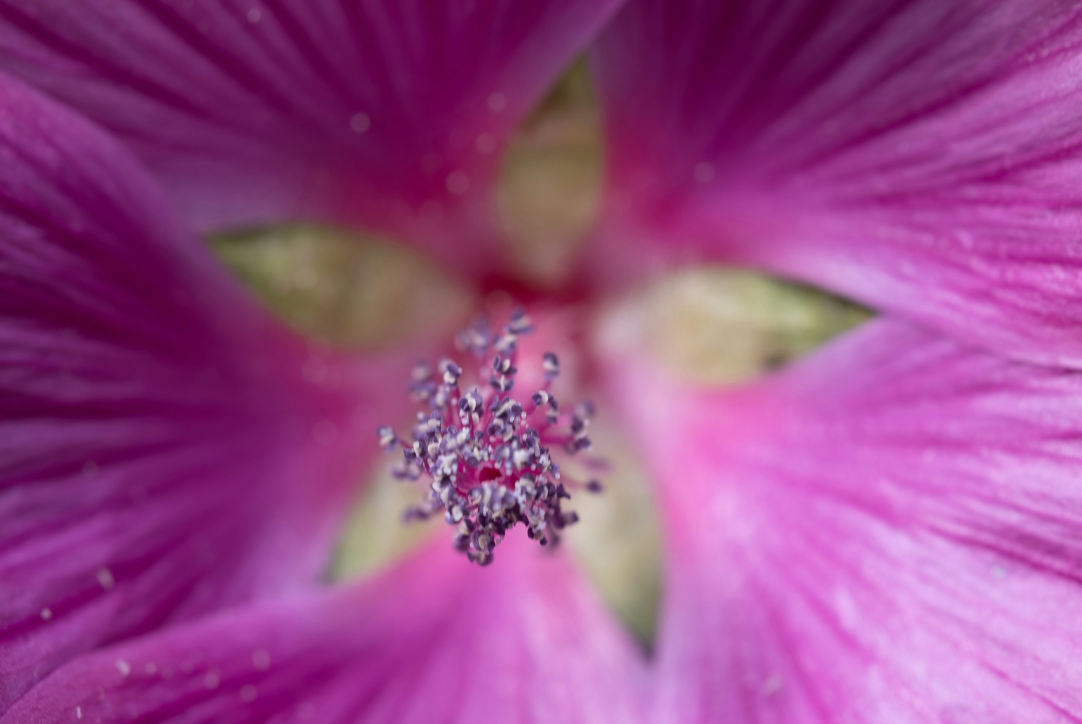 Ruth Gledhill (@ruthiegledhill) | Unsplash Photo Community