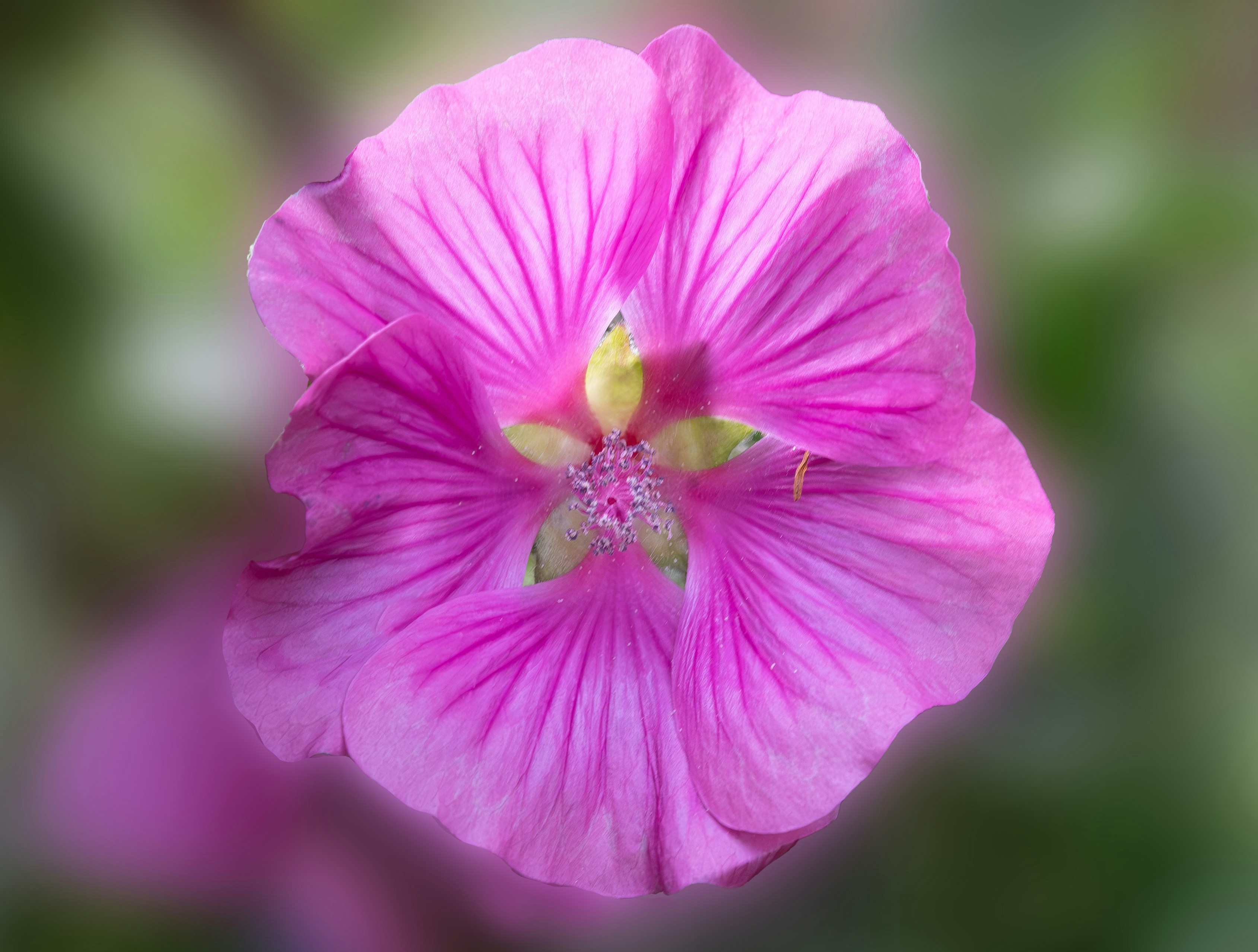 Ruth Gledhill (@ruthiegledhill) | Unsplash Photo Community