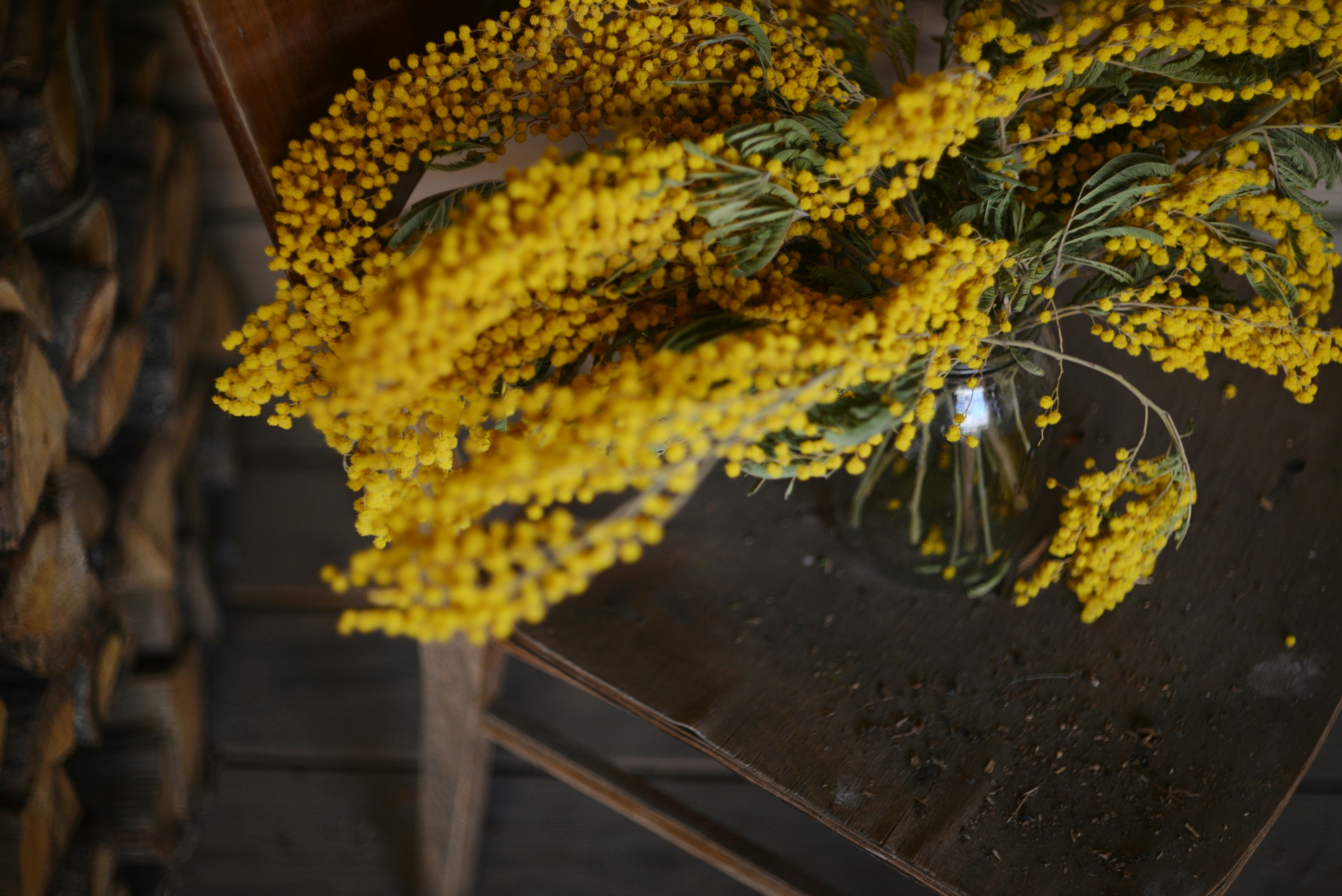 Golden Mimosa Cascade on a Weathered Wood Table