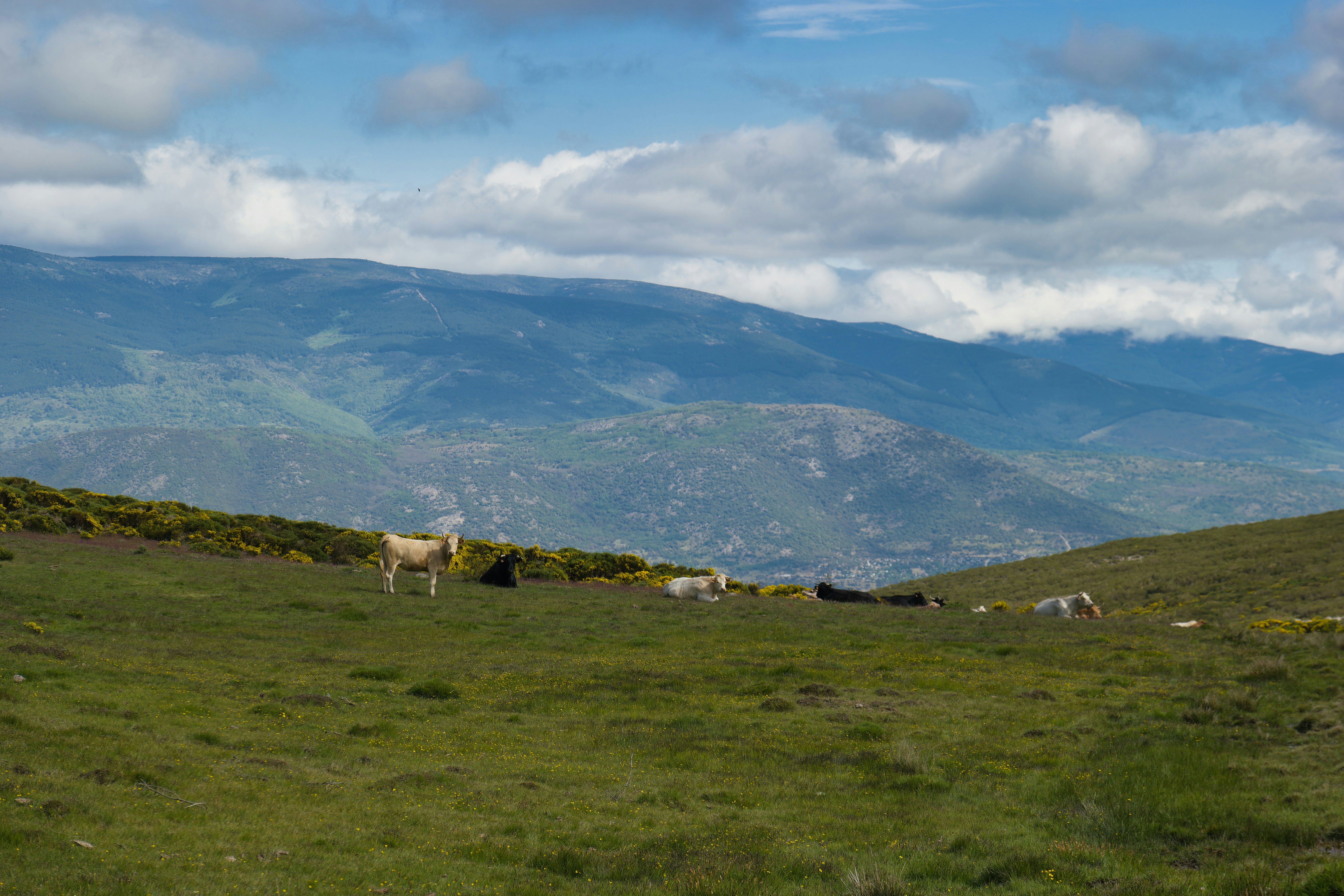 Photo by piotr sawejko with Samsung NX1