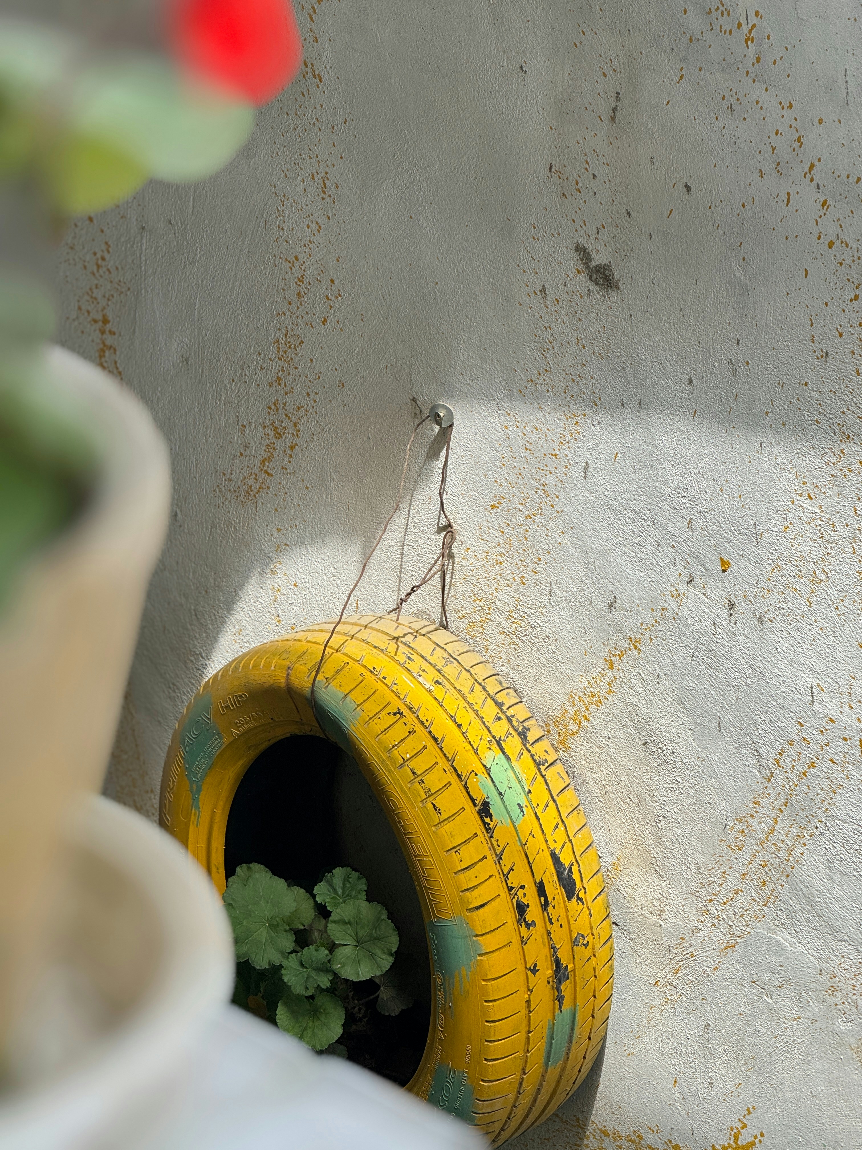 Yellow Tire Garden: A Quiet Corner with Plant Life