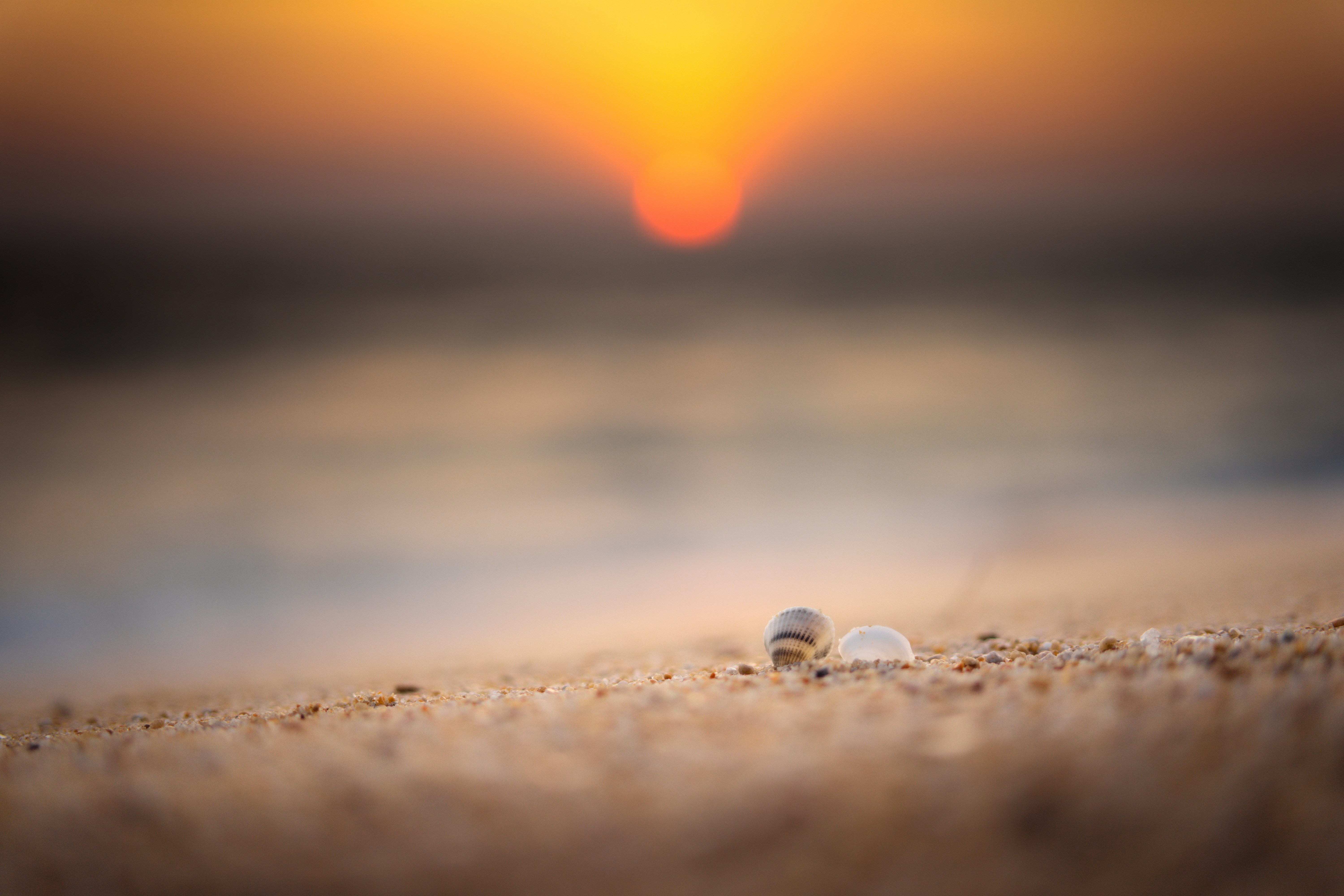 A small white object sitting on top of a sandy beach photo – Free Mai ...