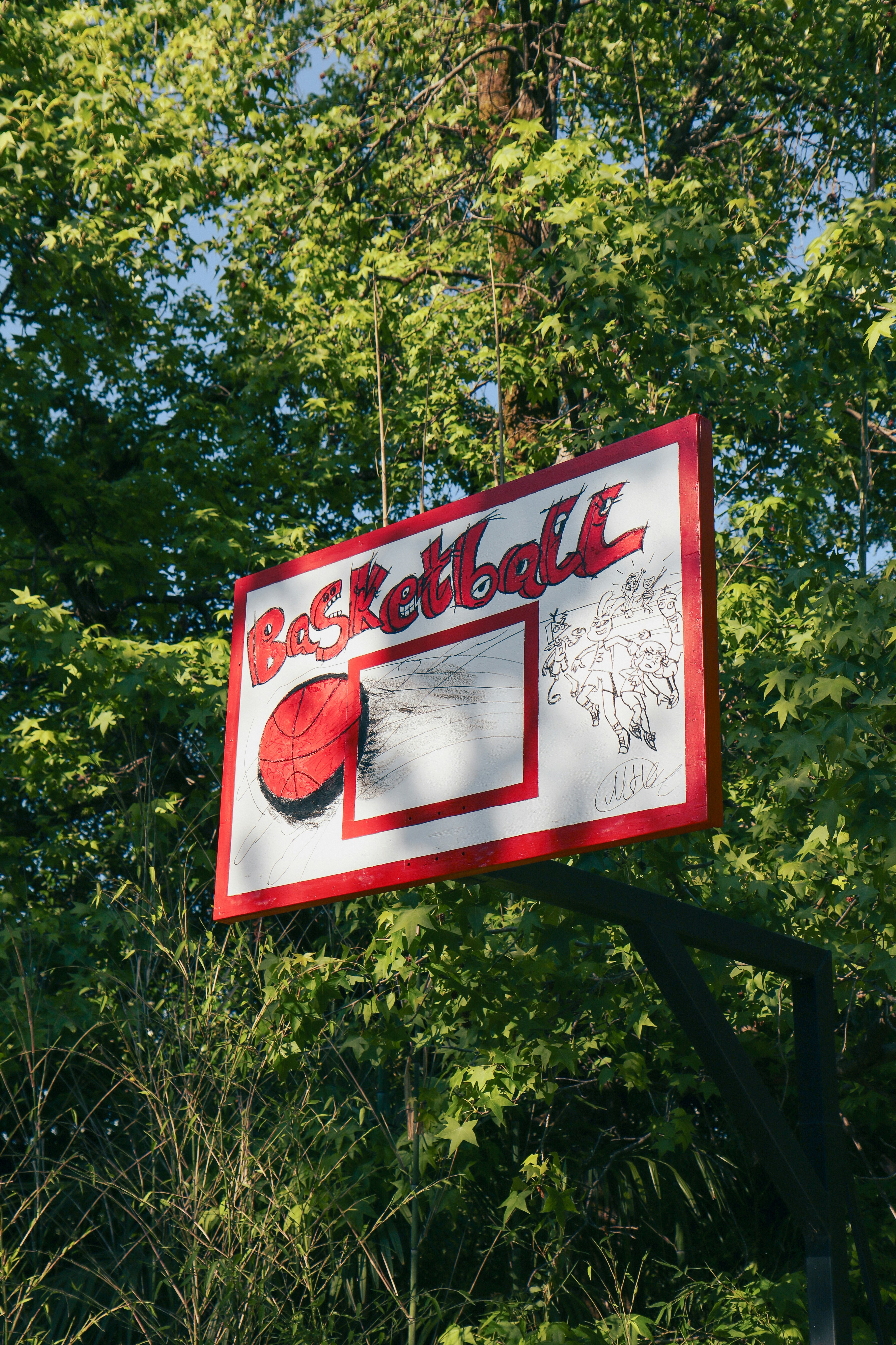 Leafframe Hoops: sunlit basketball sign nestled in a lush canopy