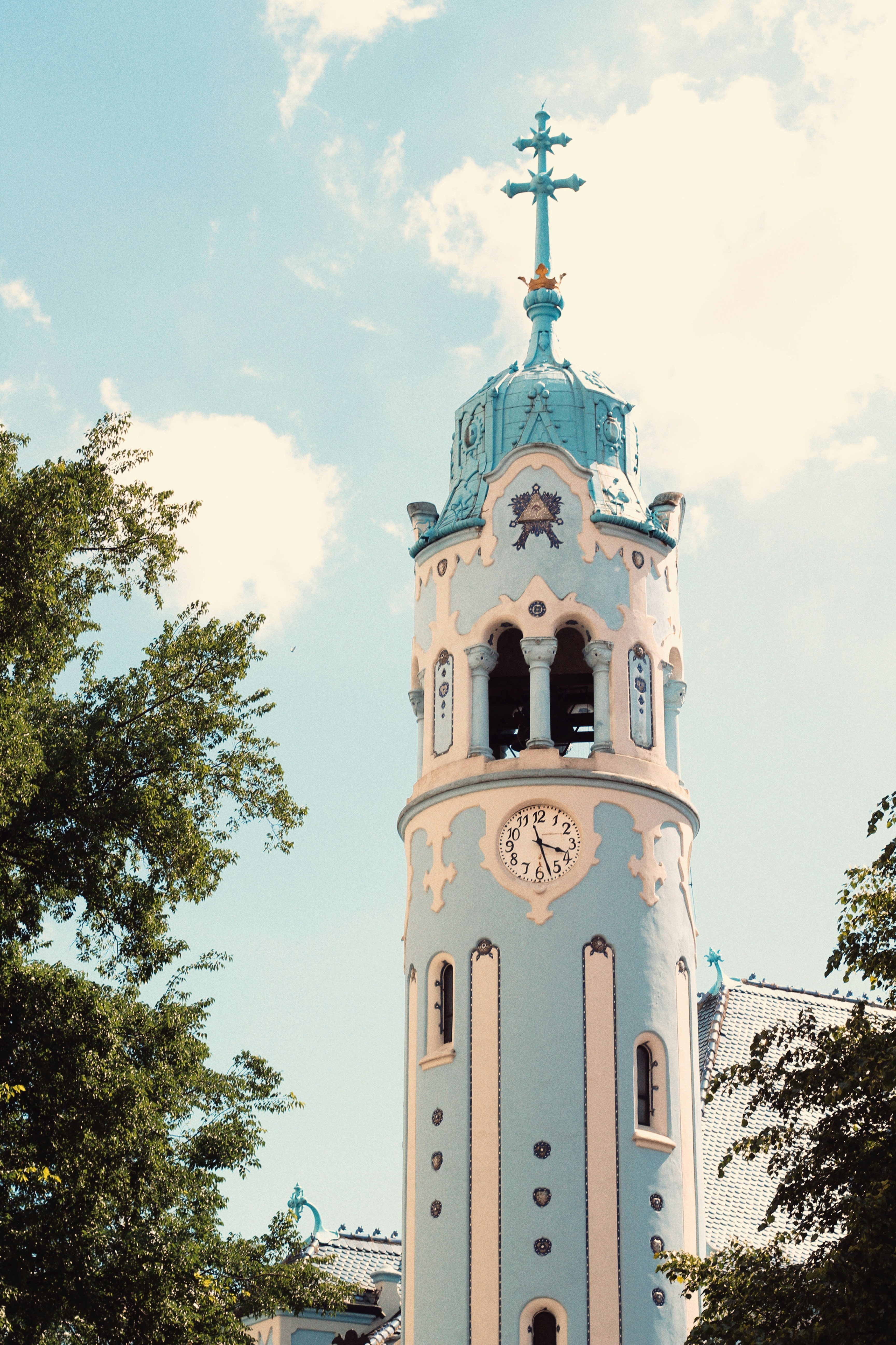 Pastel Turquoise Clock Tower Rising Above Leafy Silhouettes