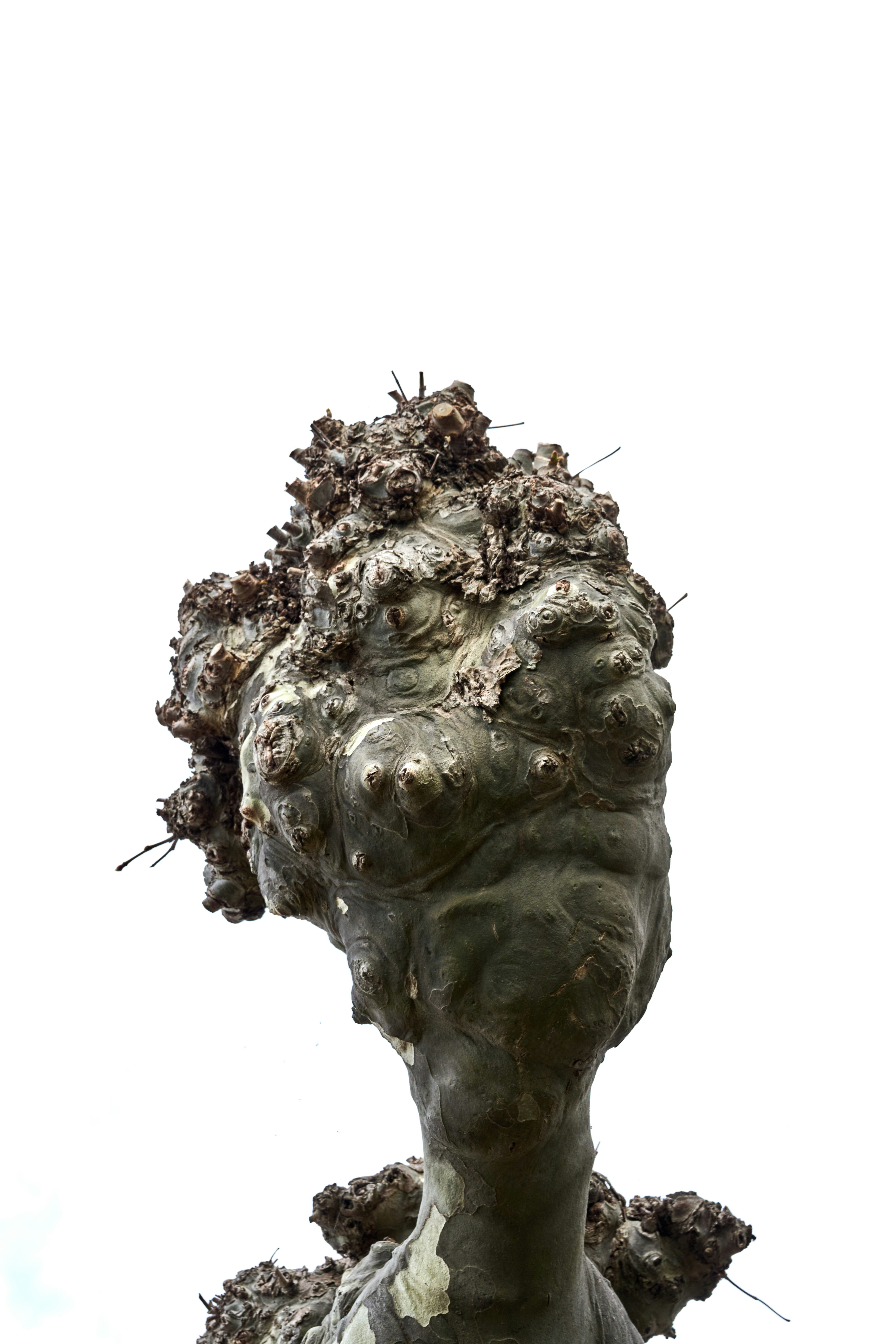 Overgrown Portrait: A Mud-Crusted Bust Emerges from Silence