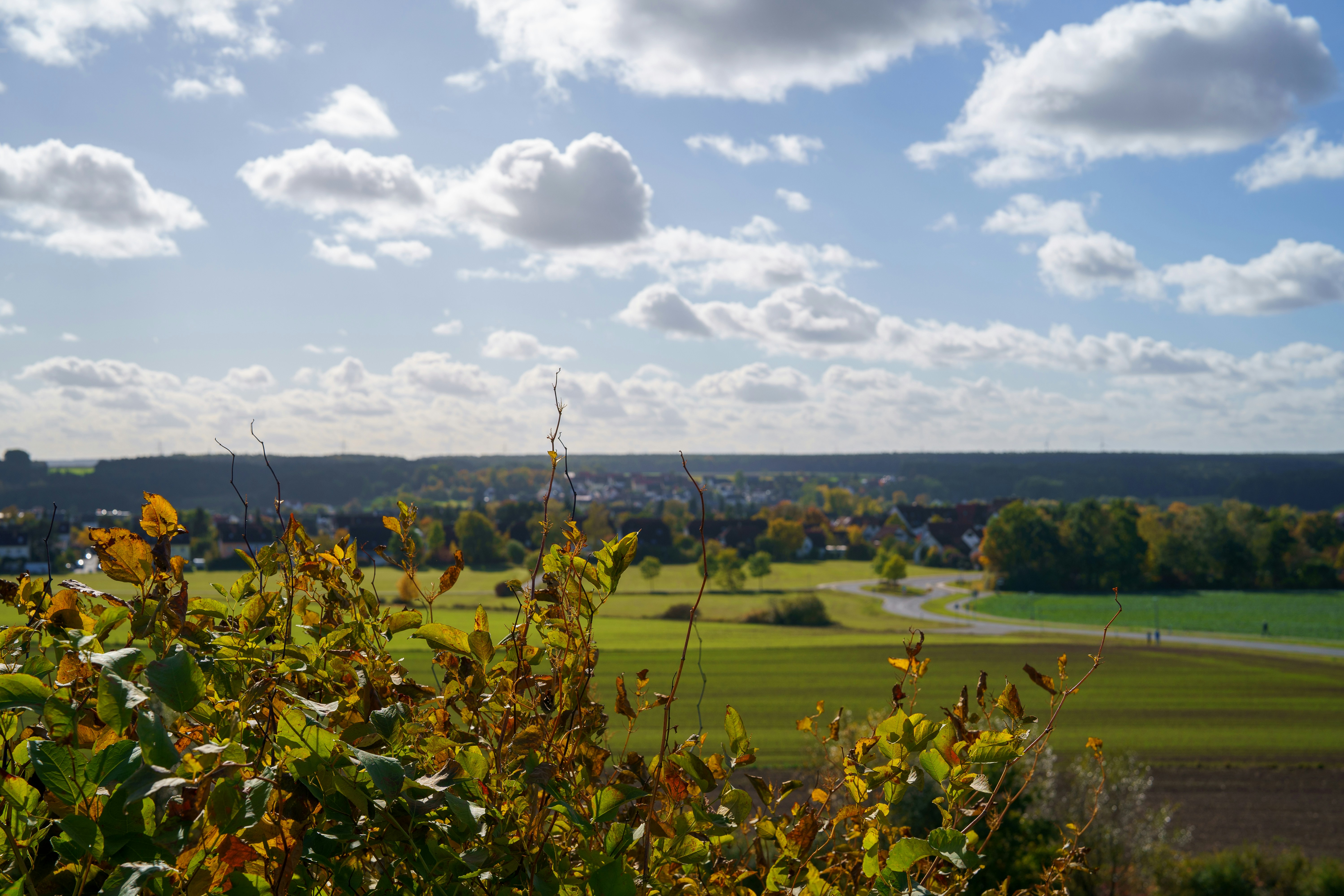 This photo captures a serene rural landscape with a foreground of leafy branches and a background featuring rolling fields, a village, and a forested horizon. The sky is mostly clear with scattered, fluffy clouds, and the overall atmosphere suggests a calm, sunny day, likely in early autumn given the hints of yellowing leaves. The winding path in the middle ground adds a sense of depth and invites the viewer to imagine a peaceful walk through this idyllic countryside scene.