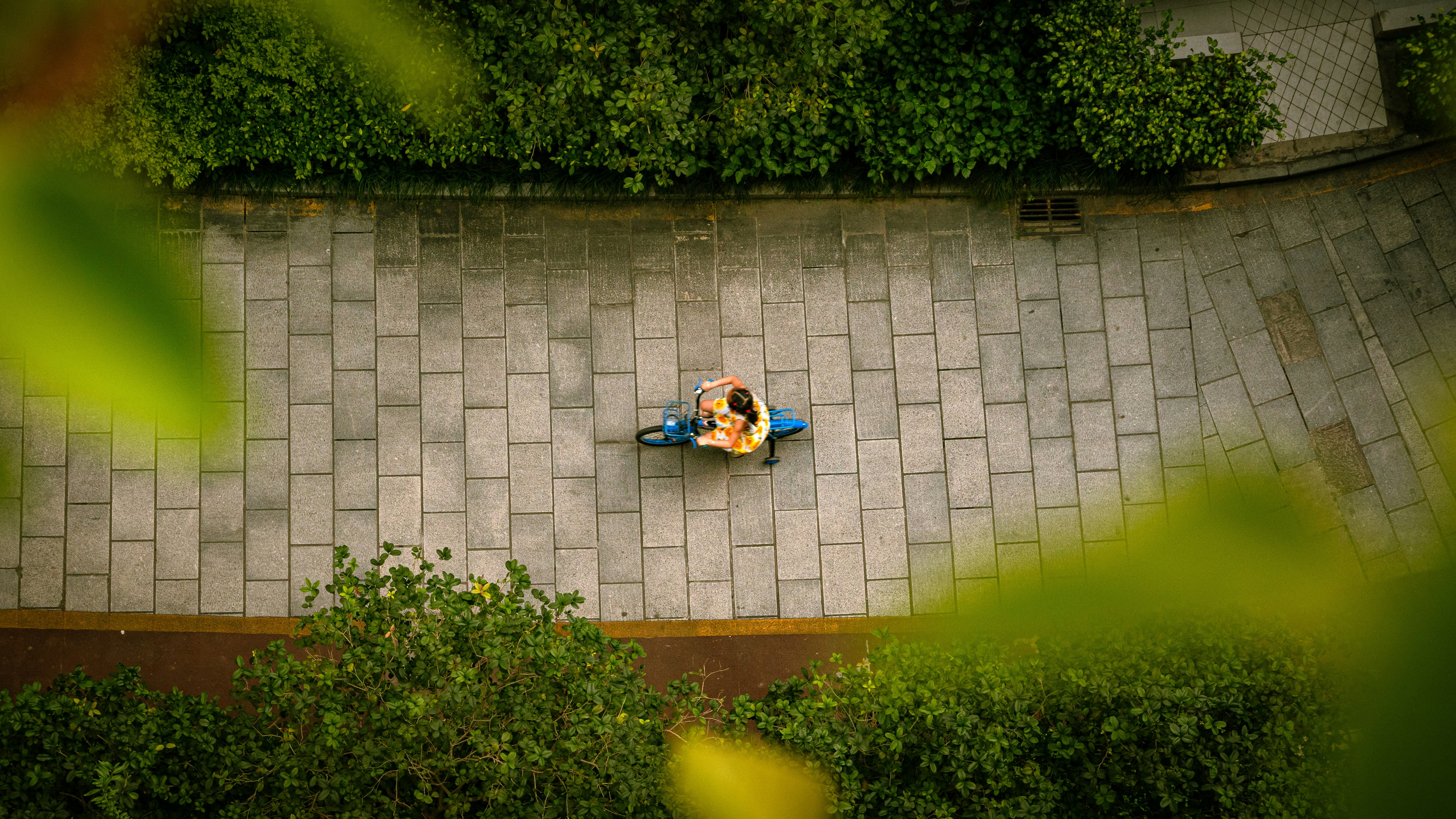 Overhead Pause on the Plaza: A lone rider glides along a grey tiled path framed by greenery