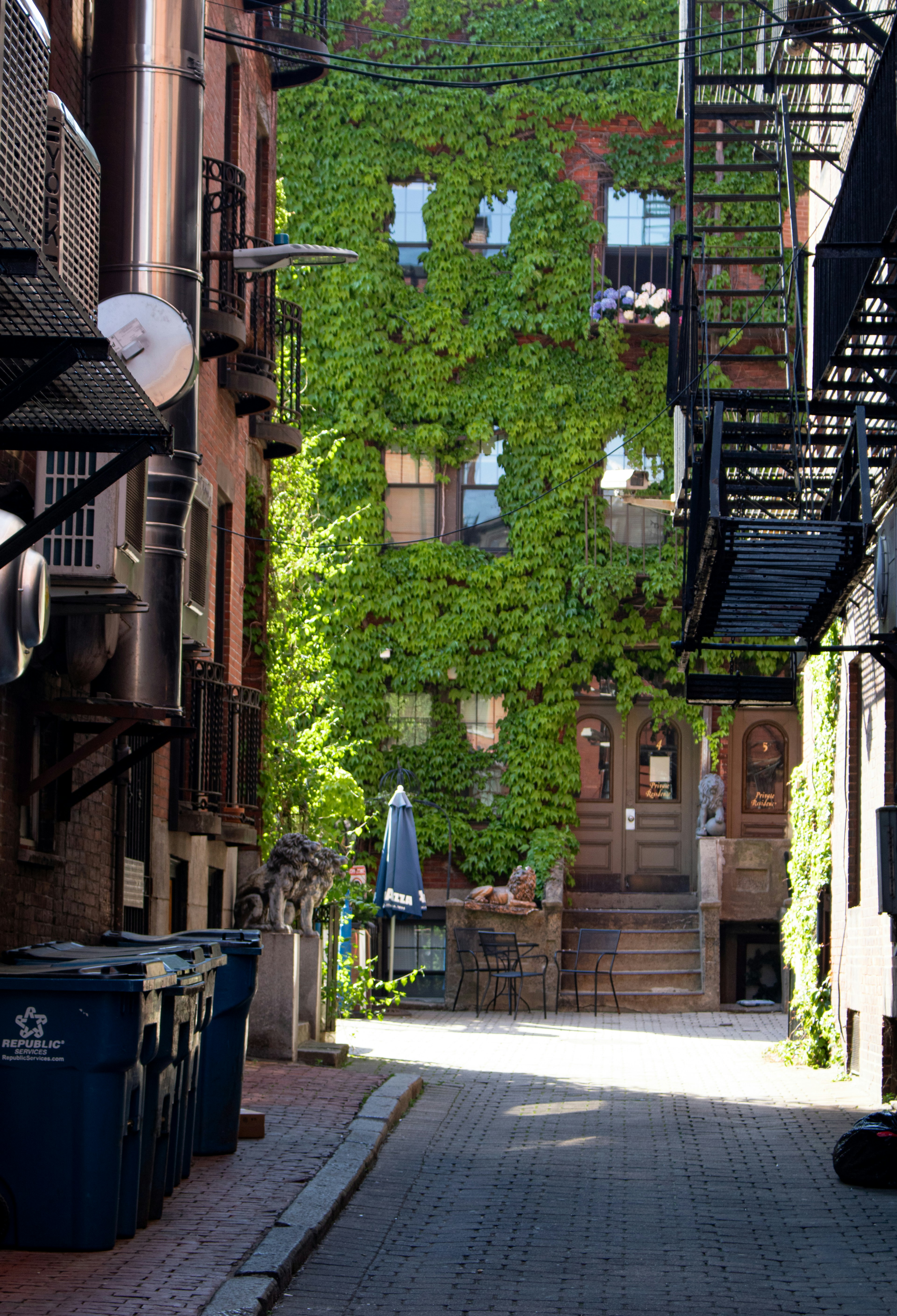 An alley way with a building covered in vines photo – Free Little italy ...