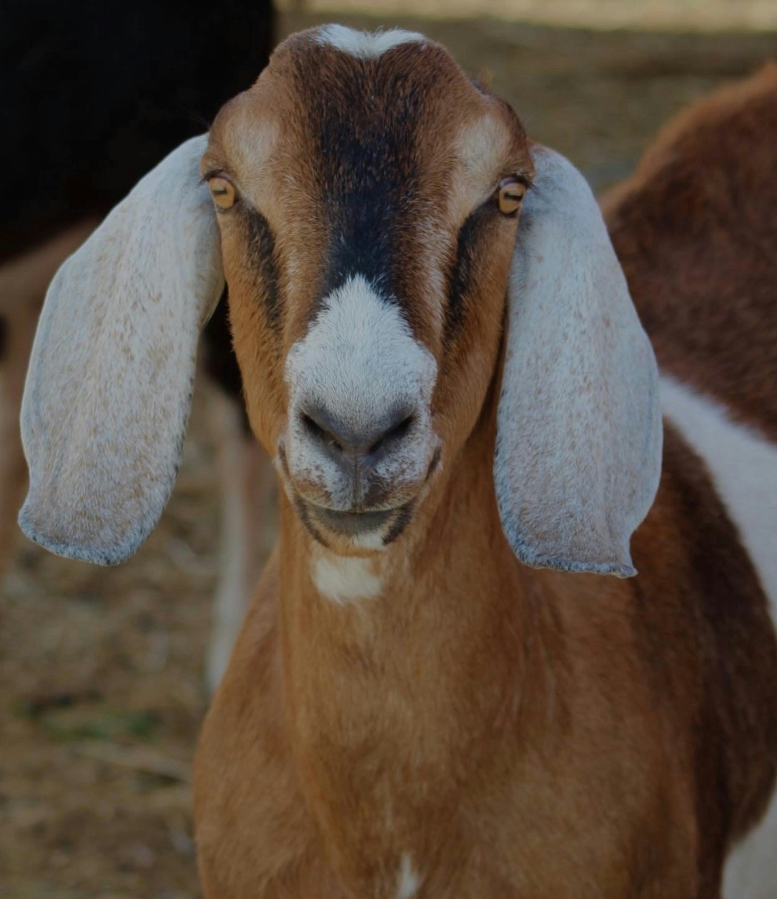 Trouble On The Interstate - by Tom Hames - Live Out Life