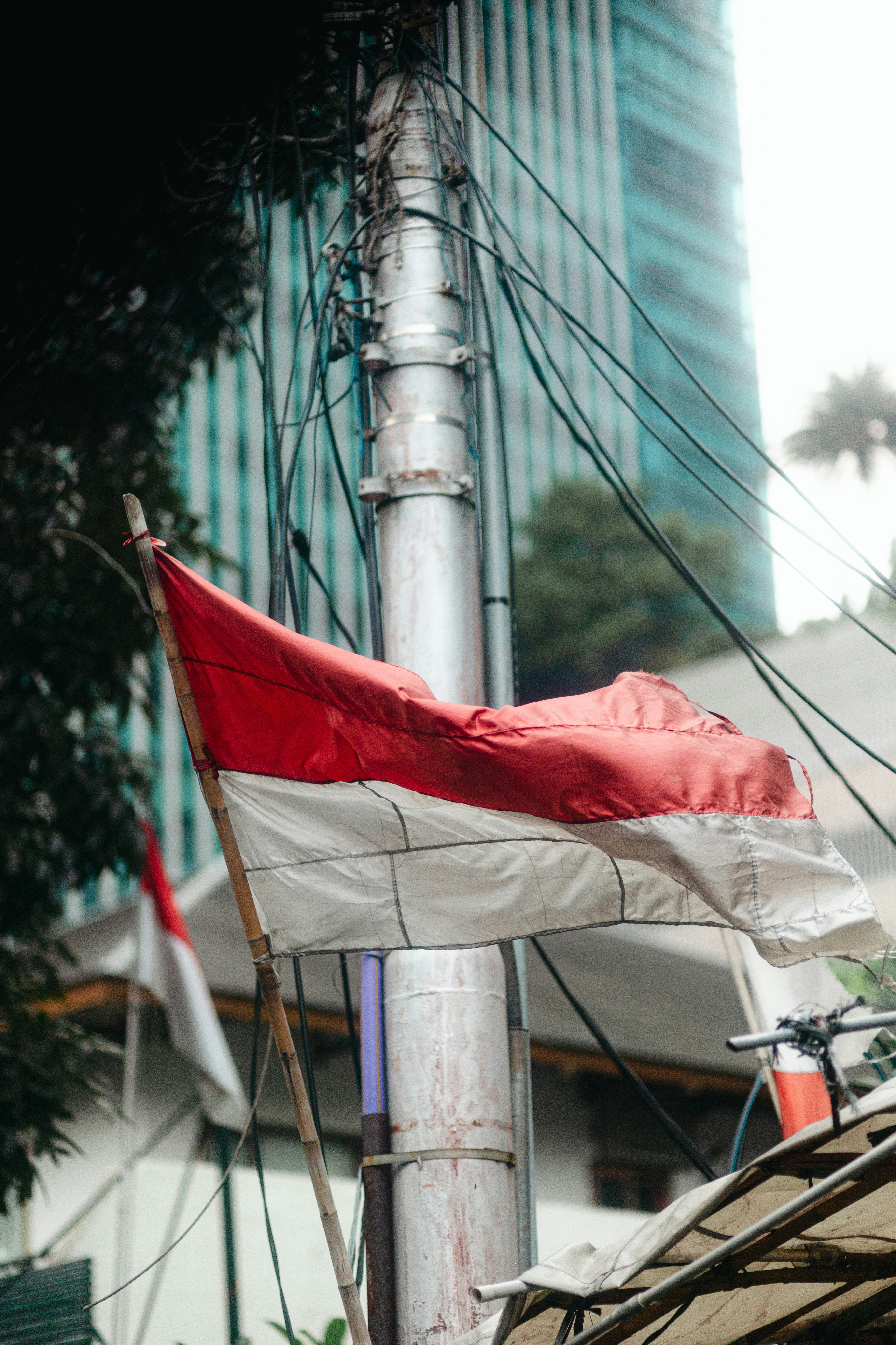 Photo by Edward Lawrence with Canon EOS R6