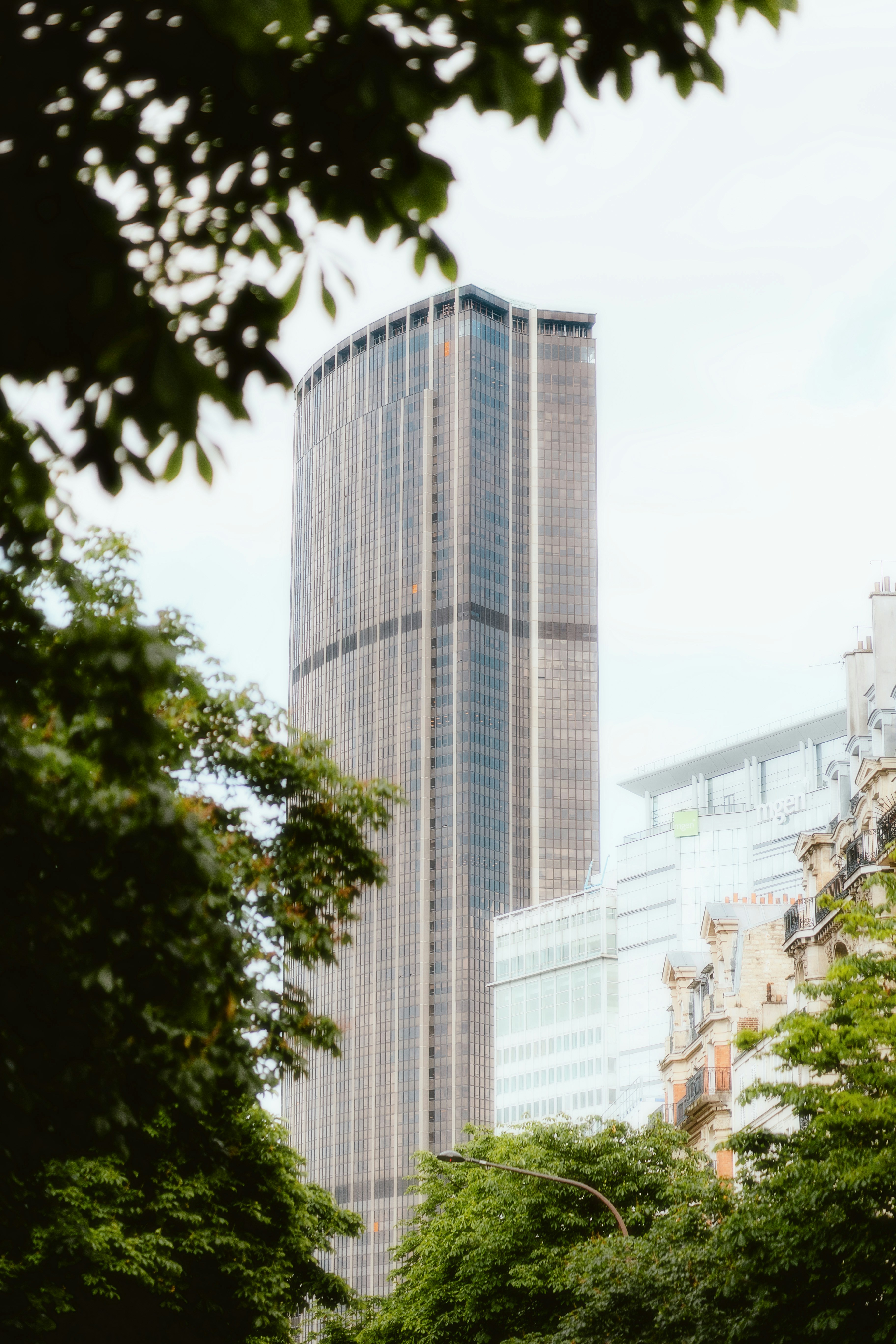 Monolith Aglow Above the Canopy: A Tower Framed by City Green