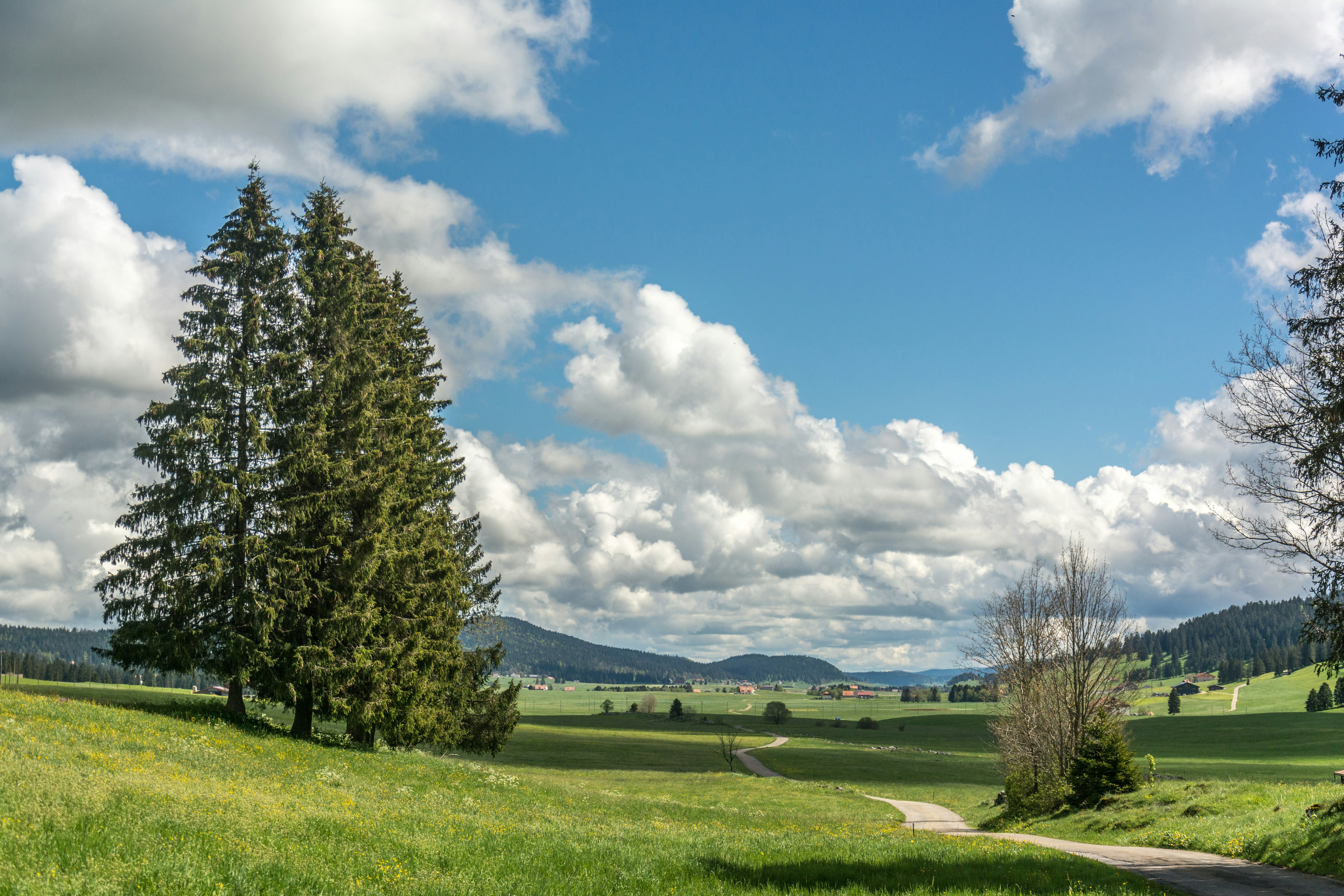 A lush green field with trees on a cloudy day photo – Free Val-de ...