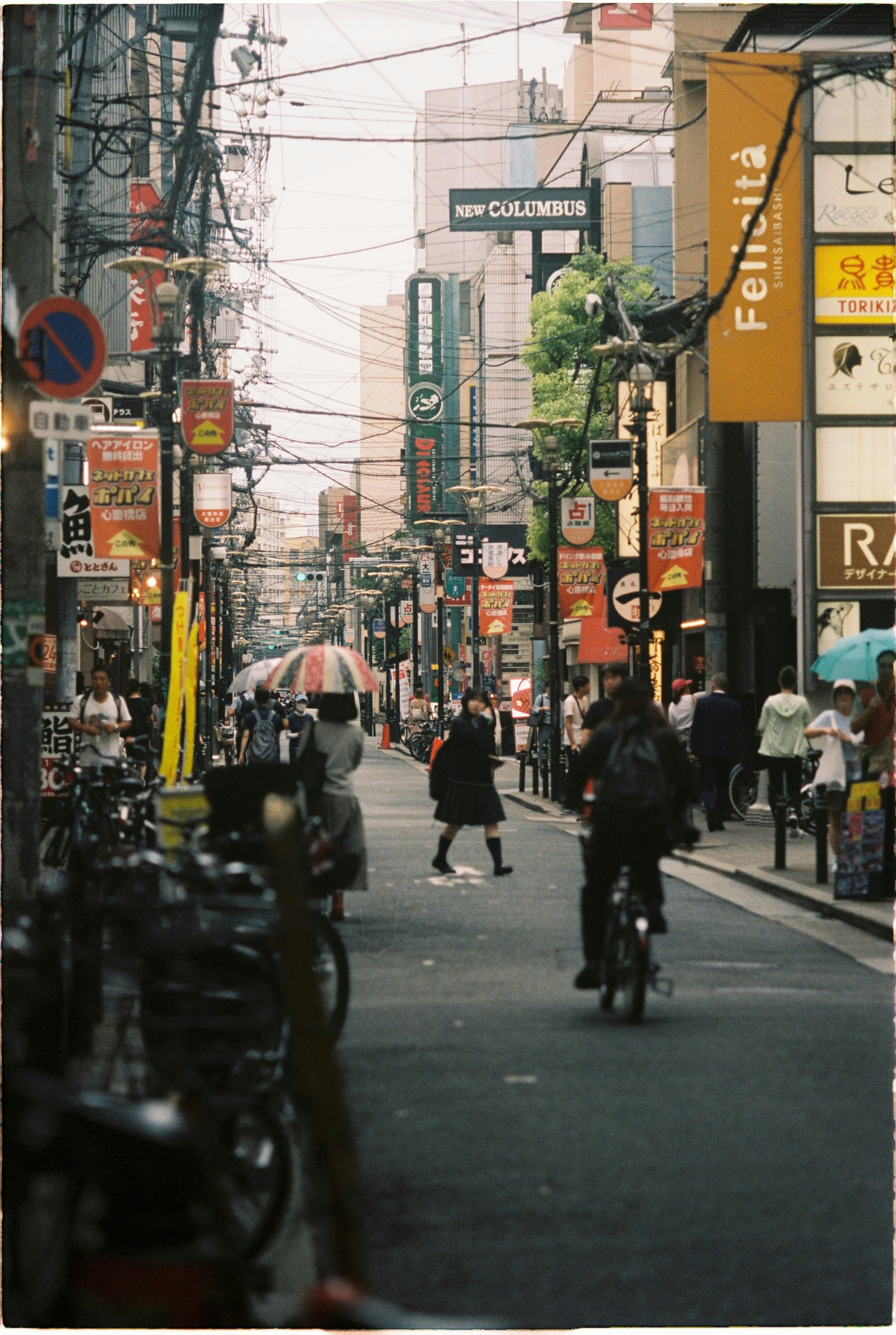 Photo by Chou Vu with Fujifilm SP-3000