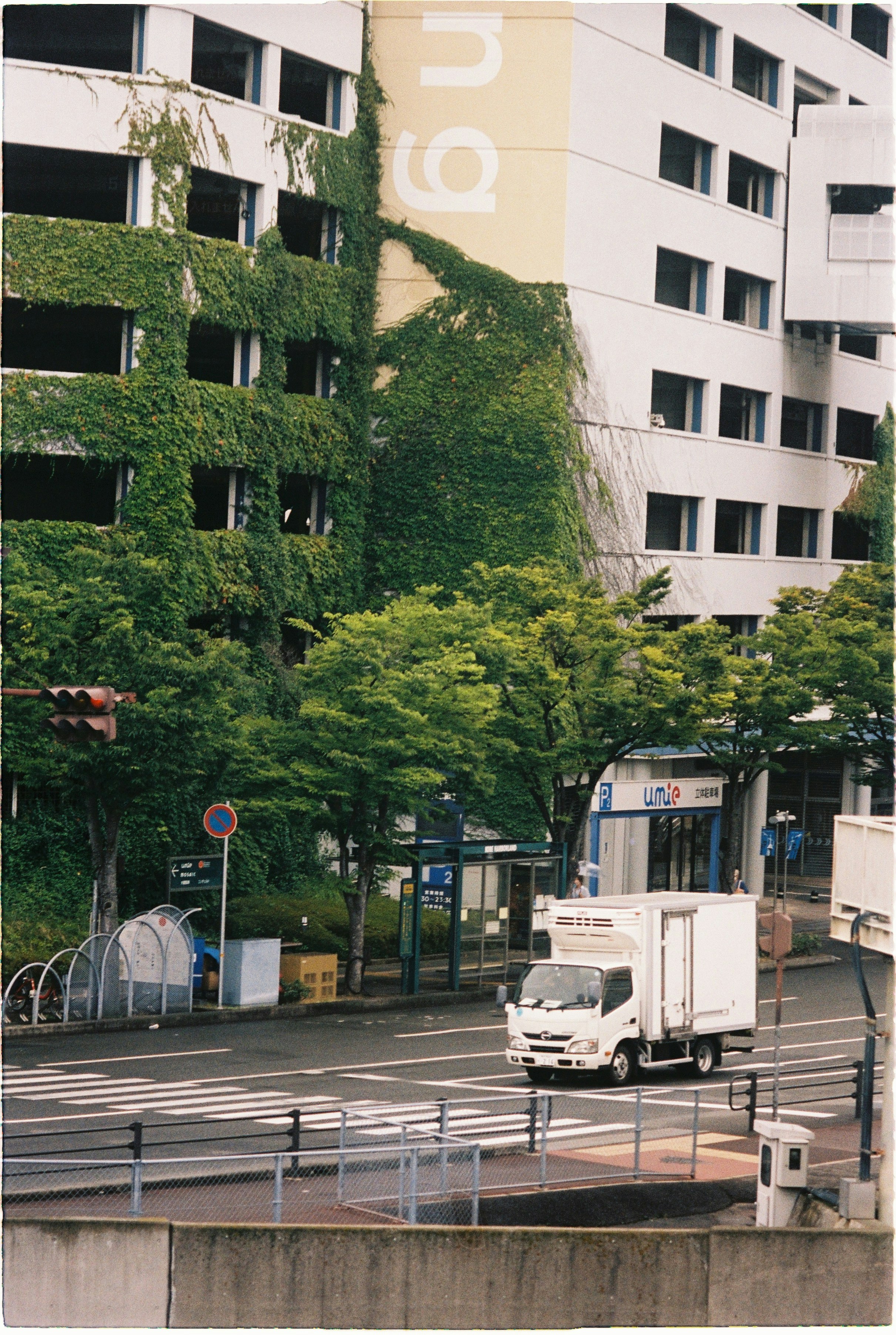 Photo by Chou Vu with Fujifilm SP-3000